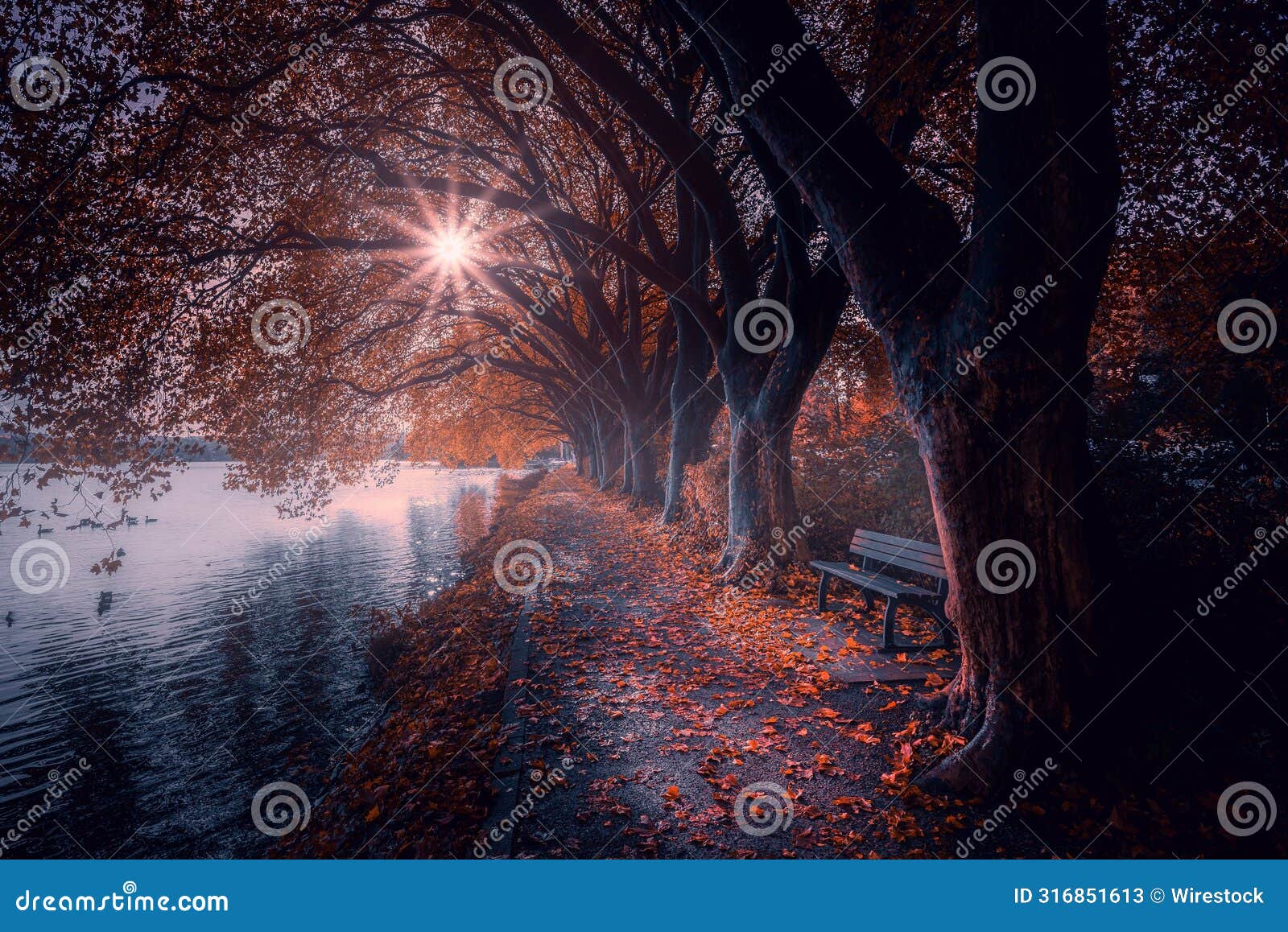 A Bench by the Water and a Bench in the Distance Stock Illustration ...