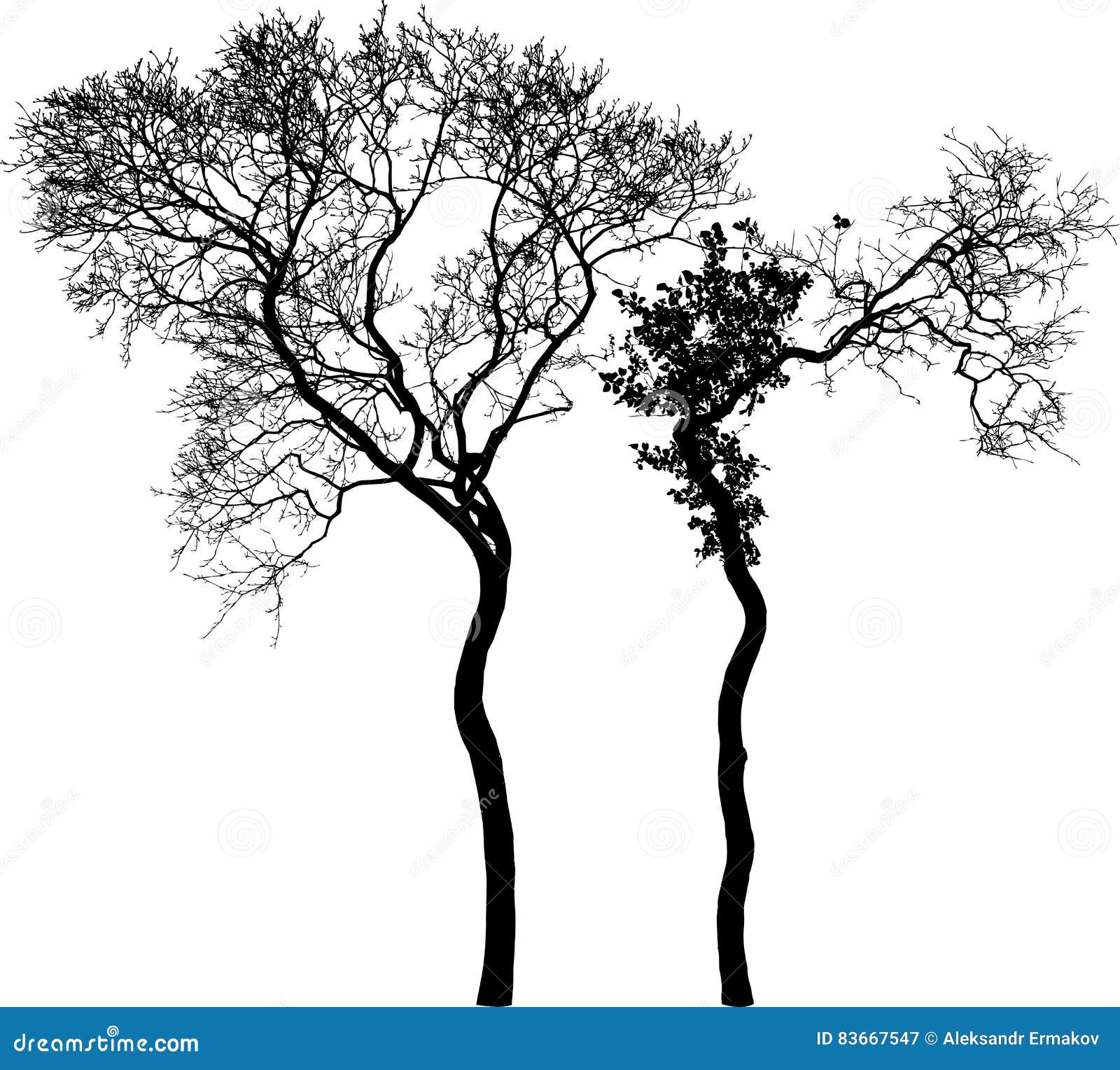 Two bent trees stock vector. Illustration of bent, forest - 83667547