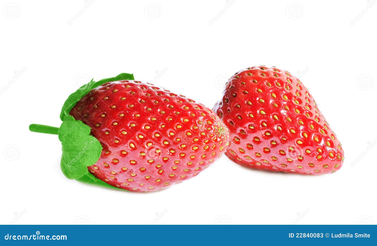 Two berries. stock image. Image of large, macro, food - 22840083