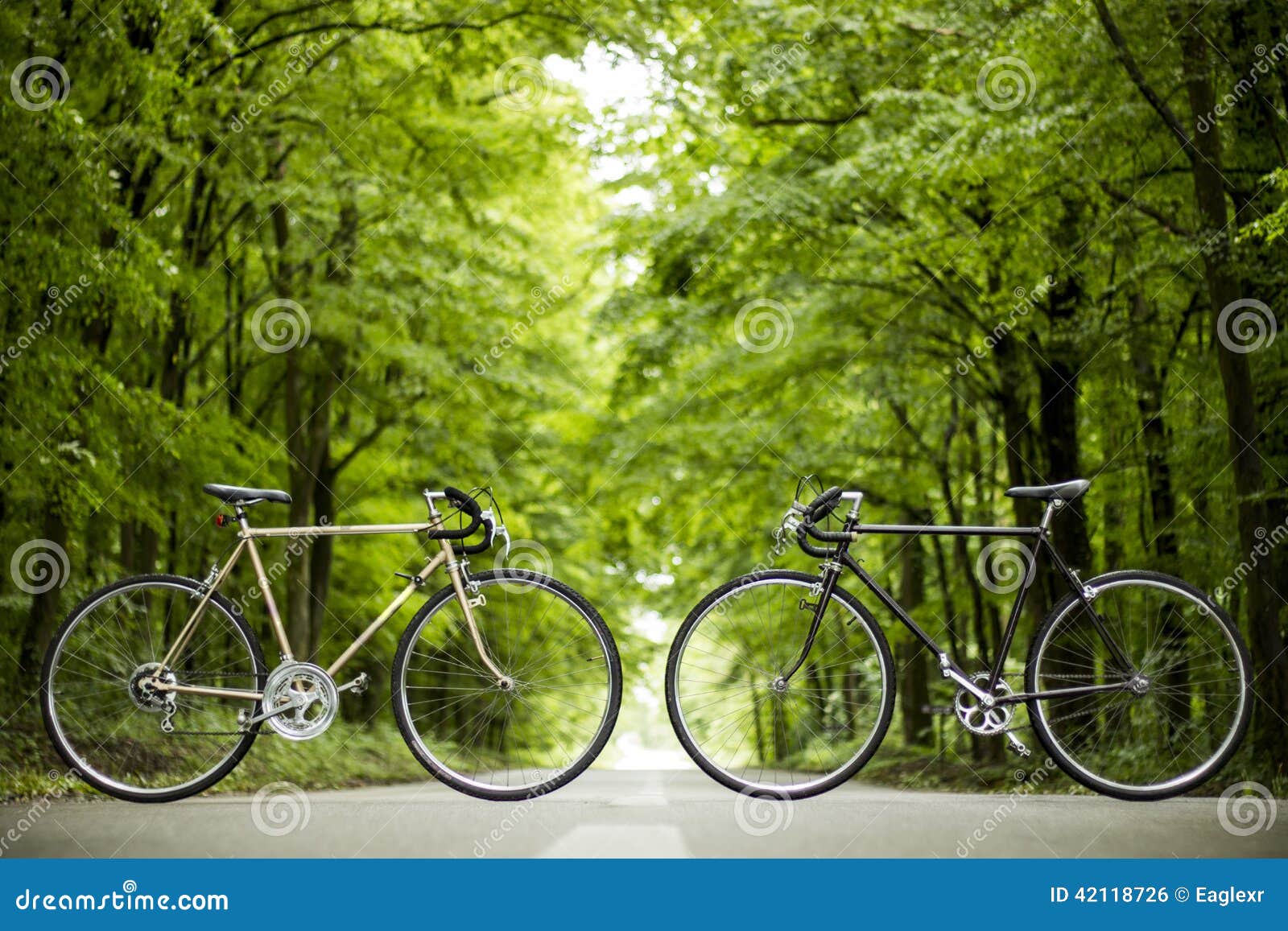 Two bicycles stock photo. Image of road, health, mountain - 42118726