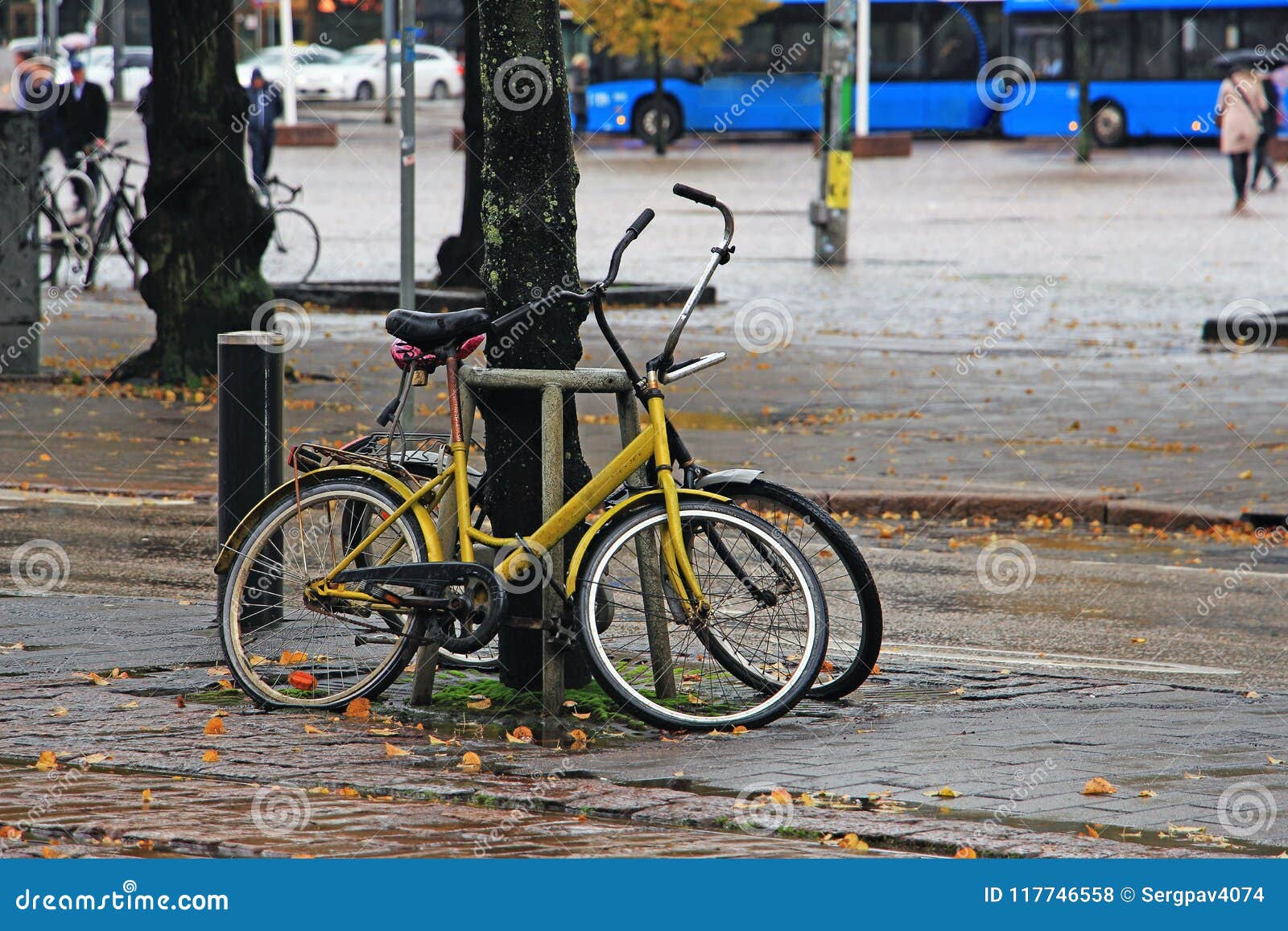 Two Bicycles Parked by the Tree Stock Photo - Image of active ...