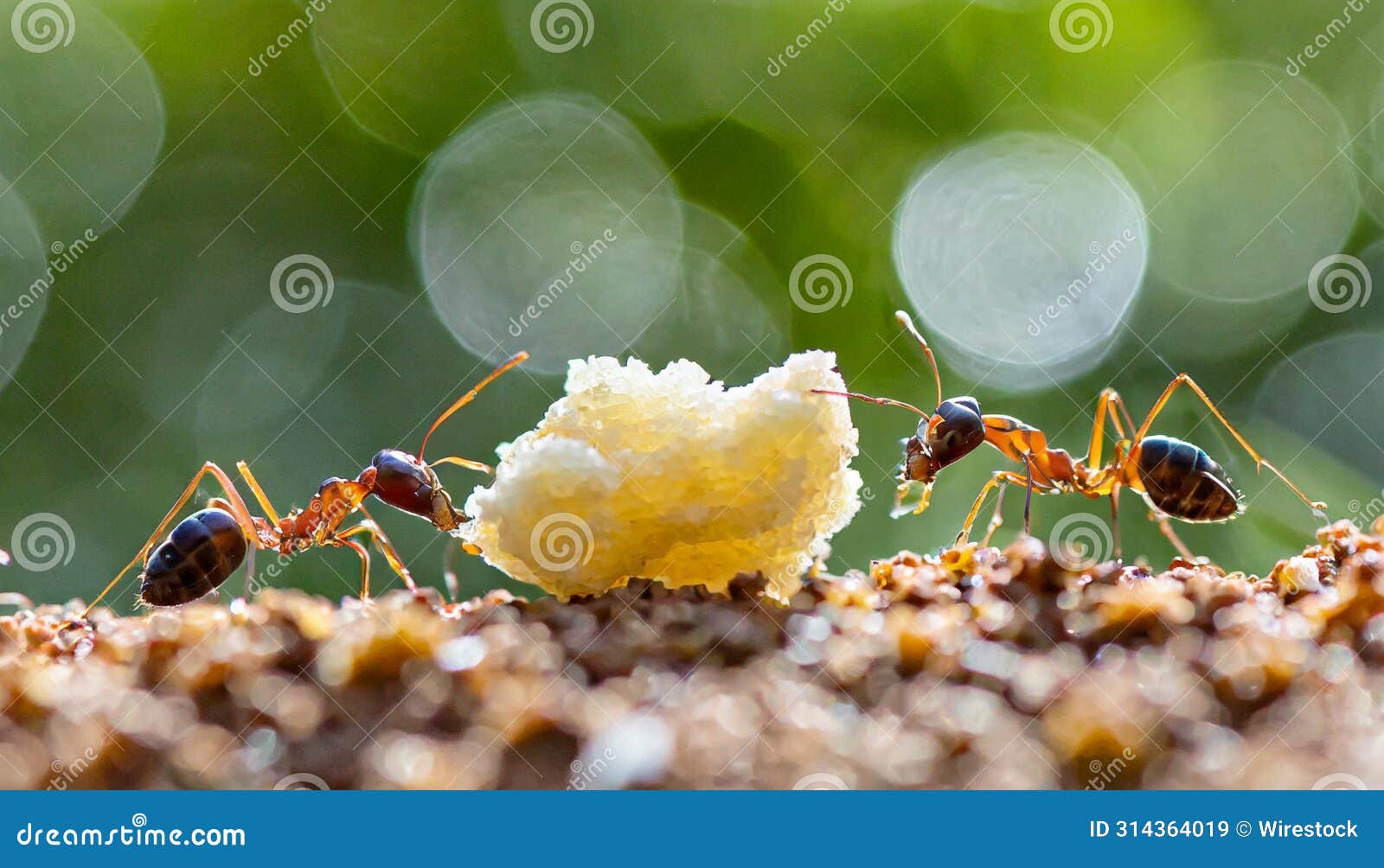 Big Ants Collaborating on a Cake in the Woods, AI-generated. Stock ...