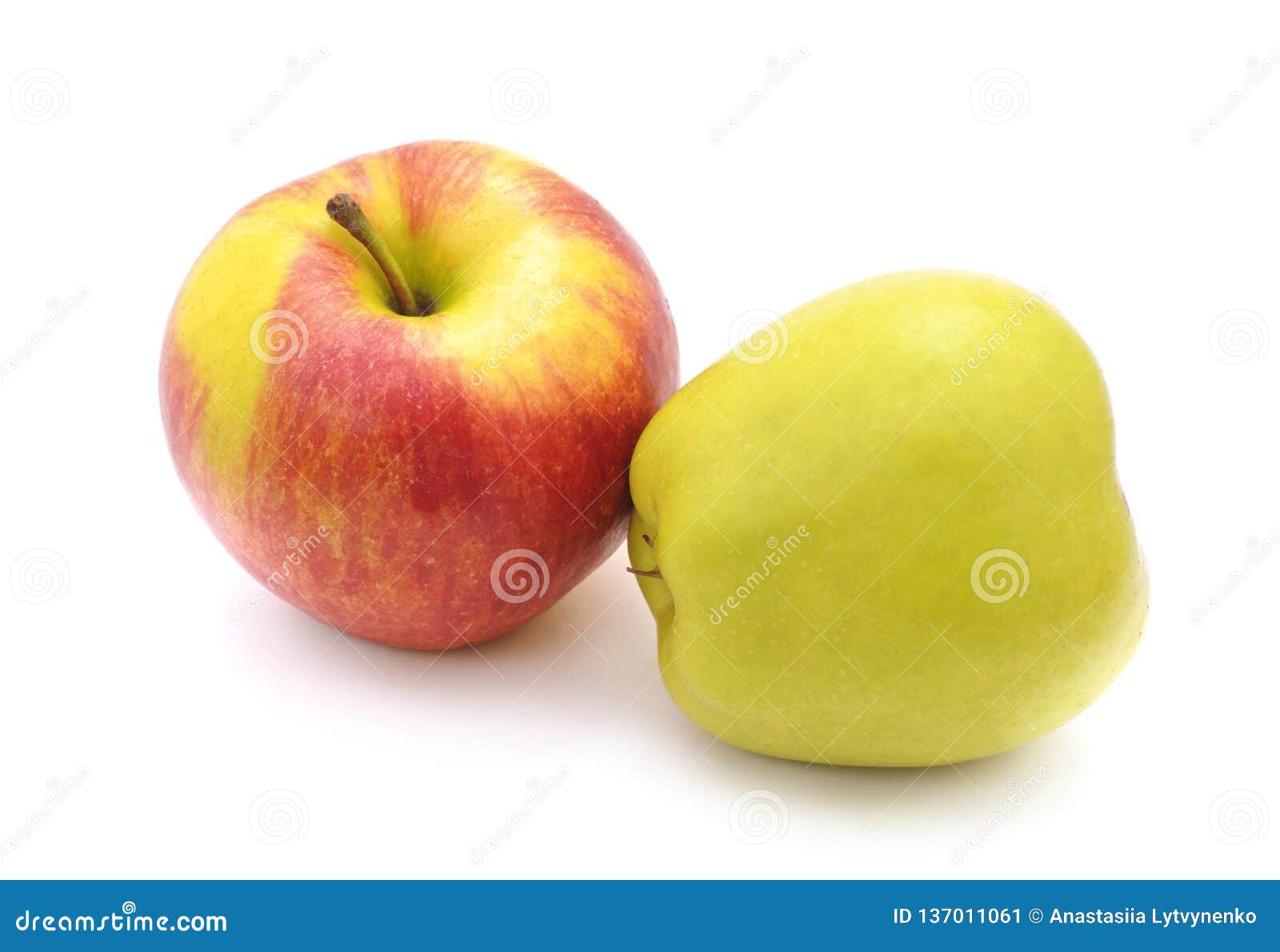Two big apples stock image. Image of vitamins, harvest - 137011061