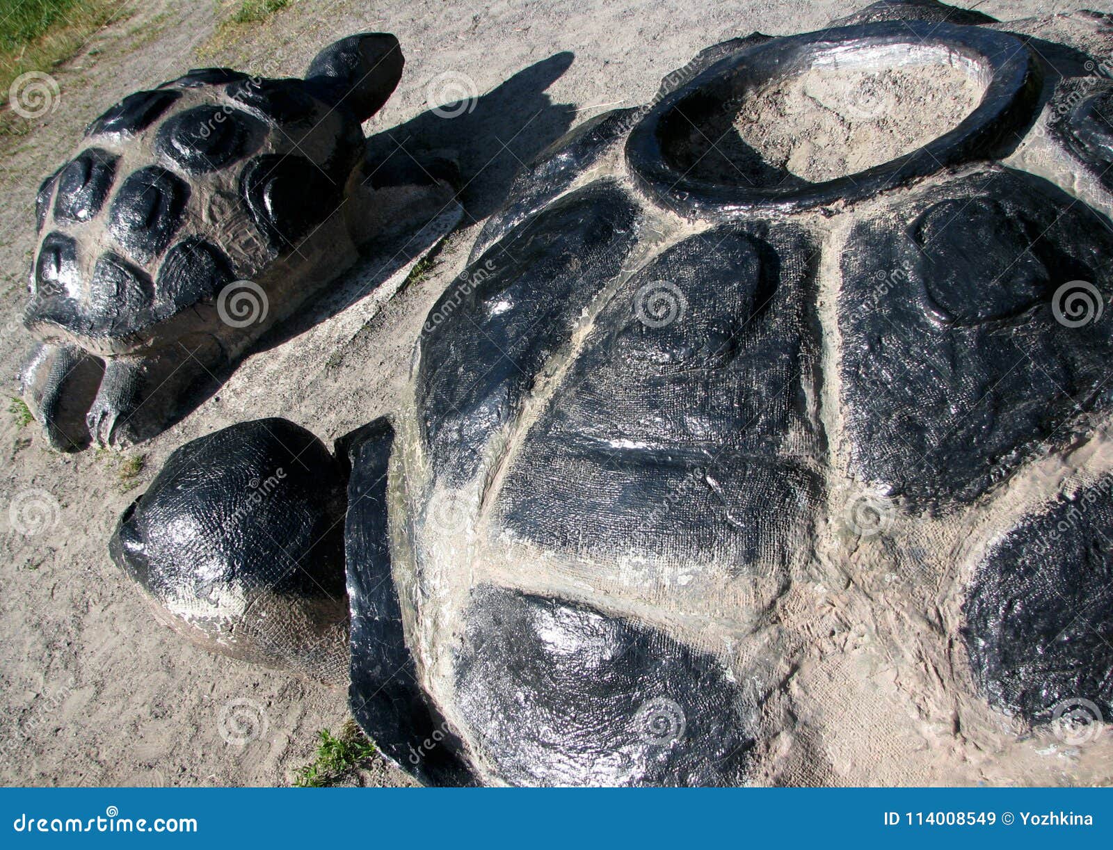 Two Big Black Turtles Park Objects in Sand, Close Up View from a ...