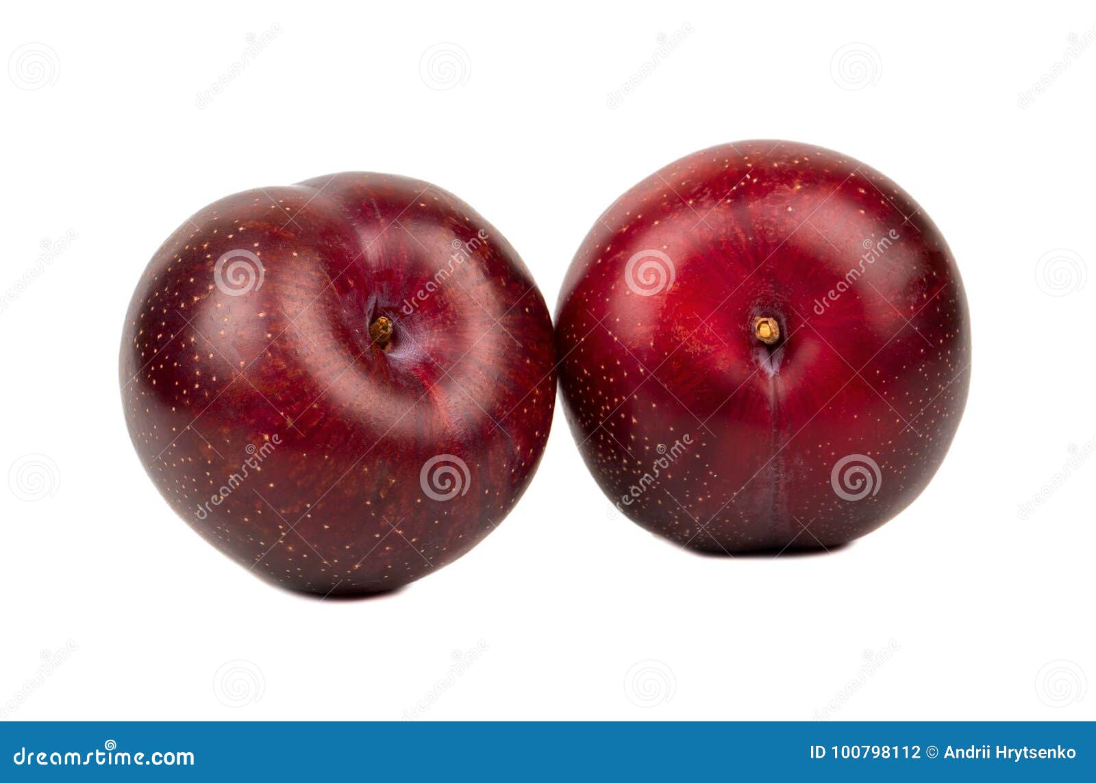 Two big red plums stock photo. Image of isolated, garden - 100798112