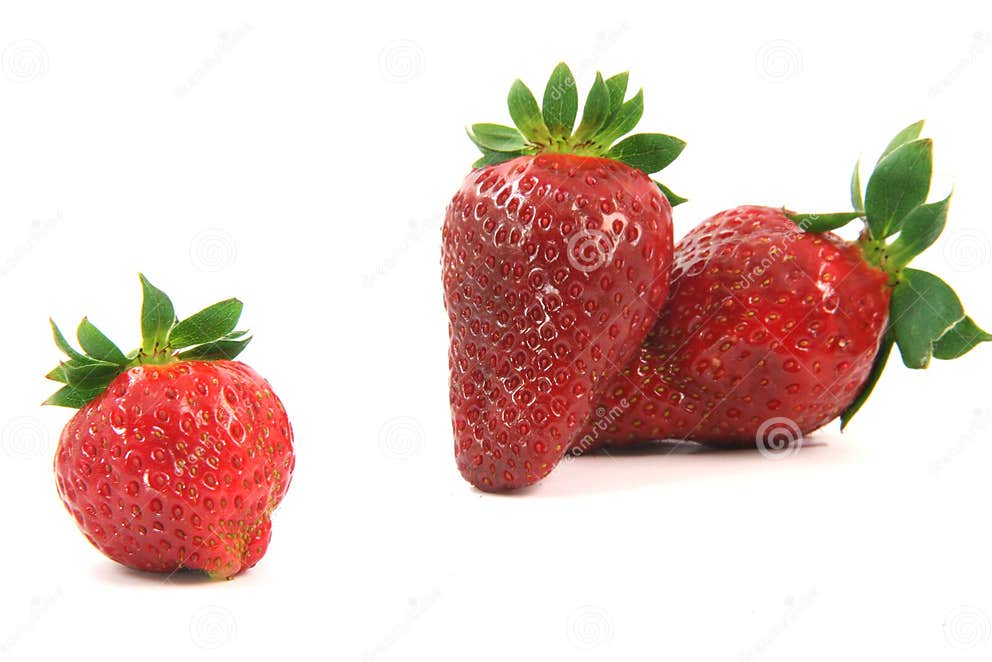 Two big one small stock image. Image of healthy, nature - 4352443