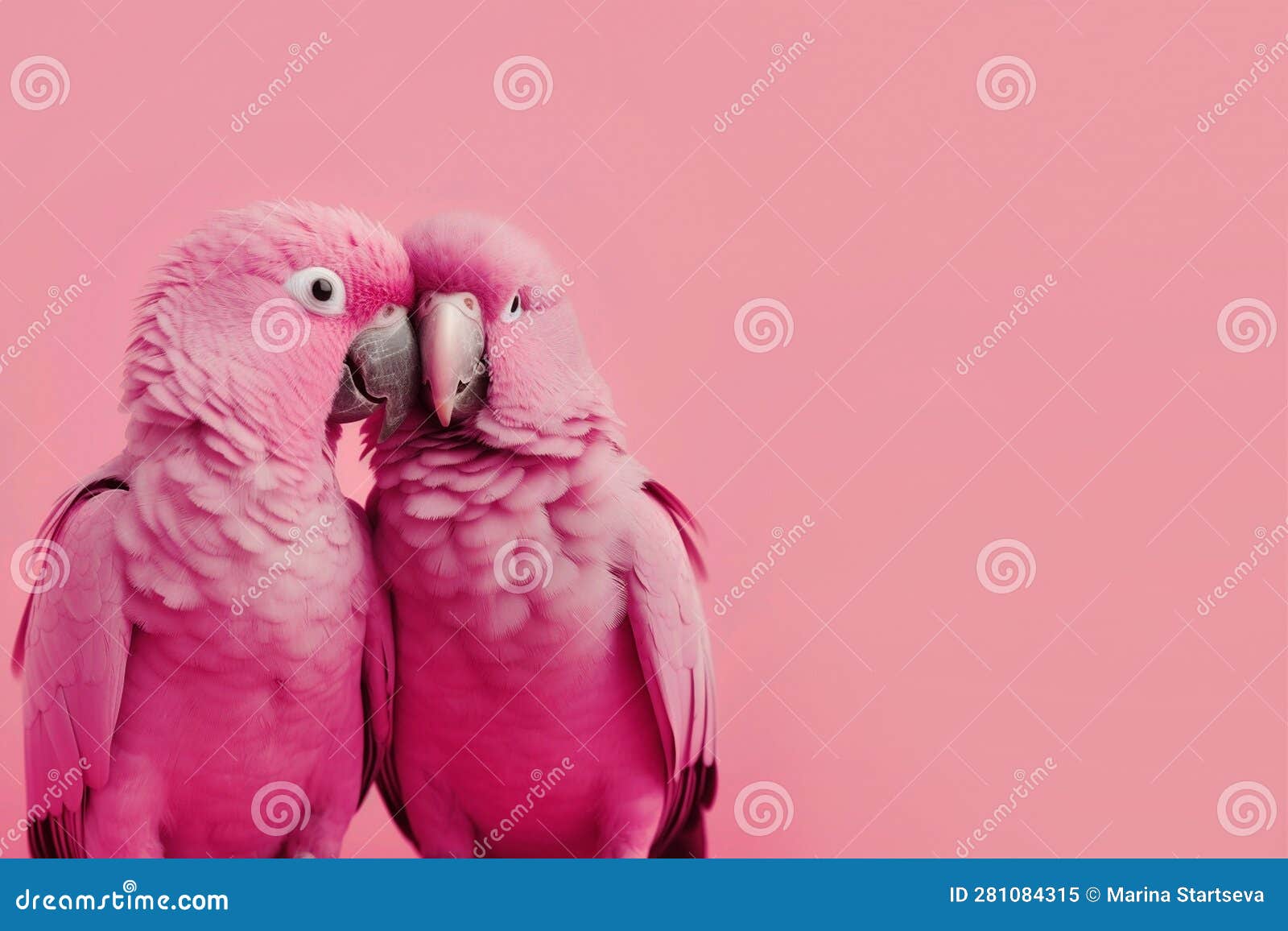 Two Big Pink Lovesick Parrots Are Sitting Next To Each Other And A Hugging Generative Ai
