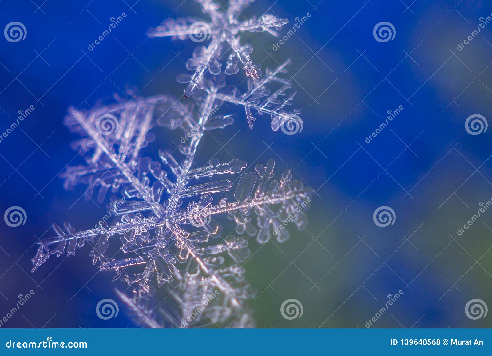 Two Big and Small Snow Flakes on Blue Green Background Stock Photo ...