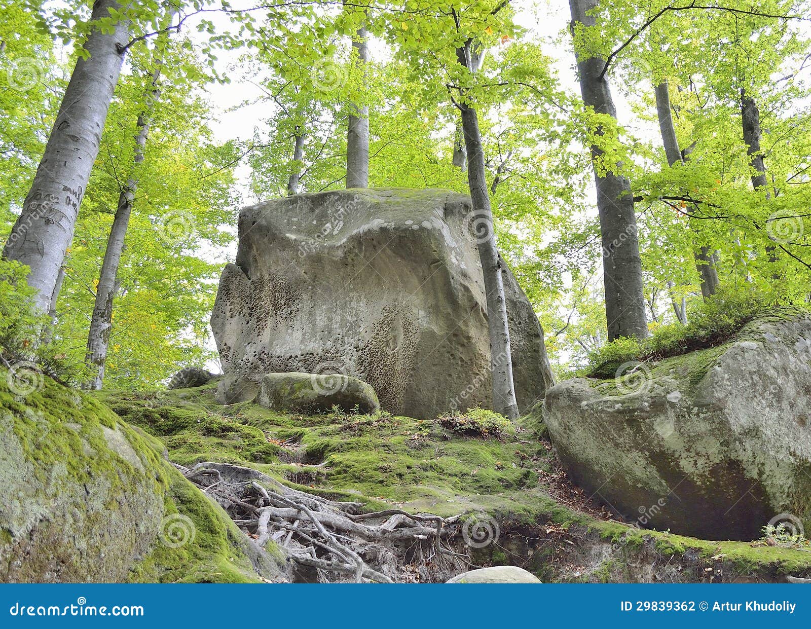 Two big stones stock photo. Image of gray, leaves, green - 29839362