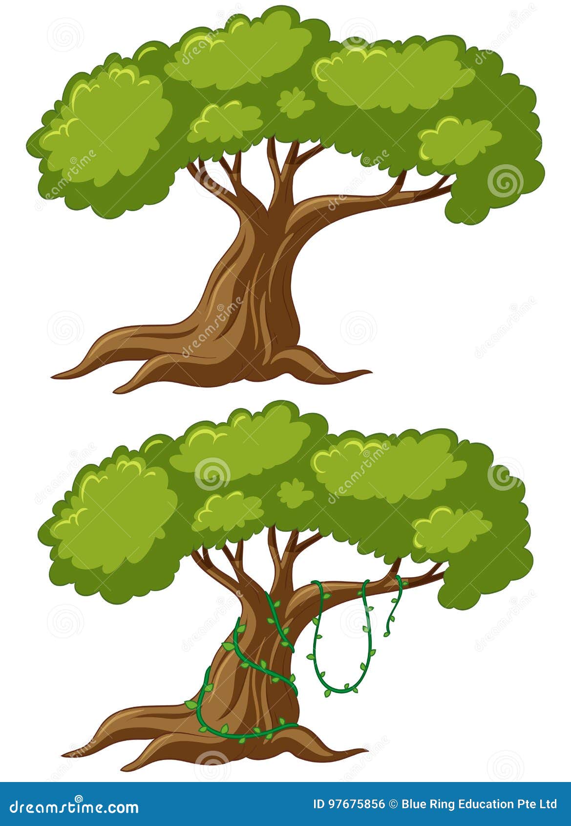 Two big trees with vine stock vector. Illustration of decoration - 97675856