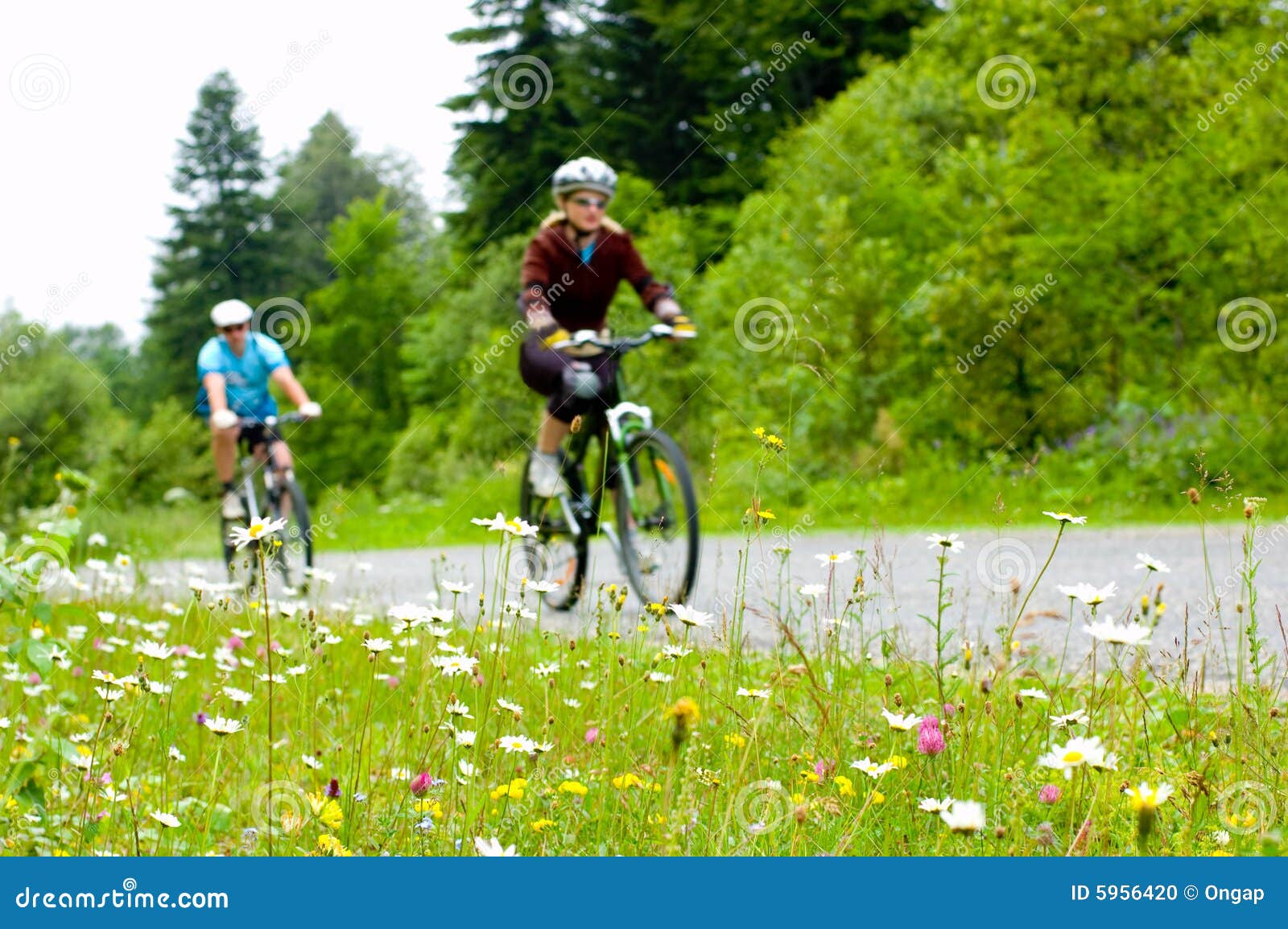 Two bikers stock photo. Image of biking, mountains, enjoyment - 5956420