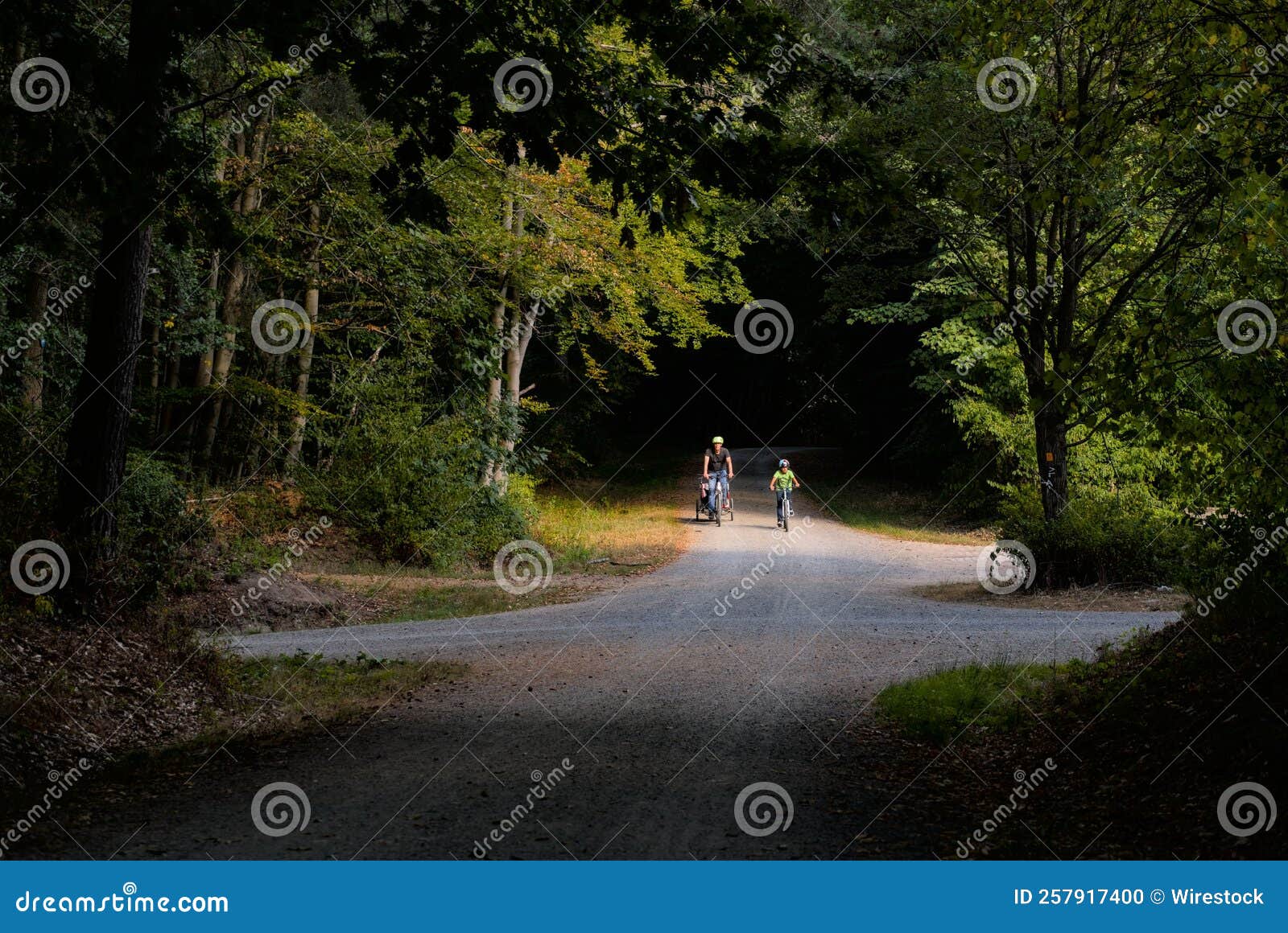 Bikers on a Path in the Middle of the Forest on a Sunny Day Editorial ...