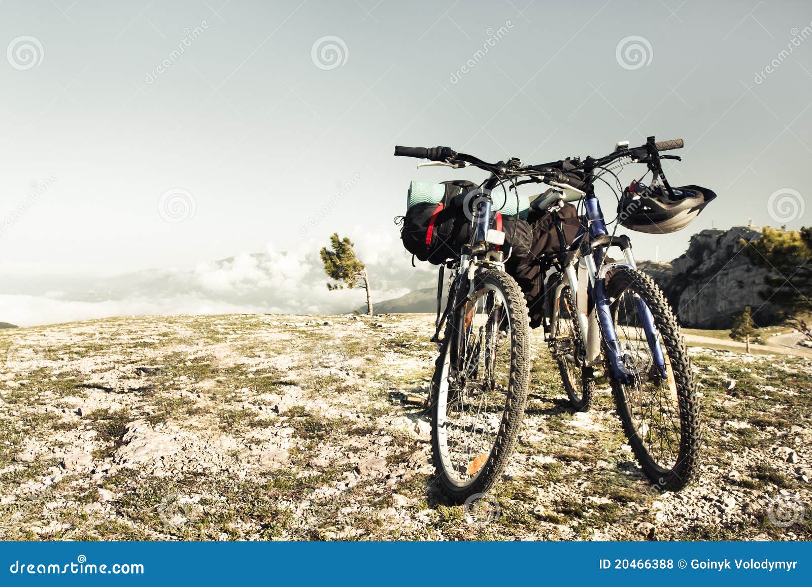 Two bikes stock photo. Image of freedom, scene, grass - 20466388