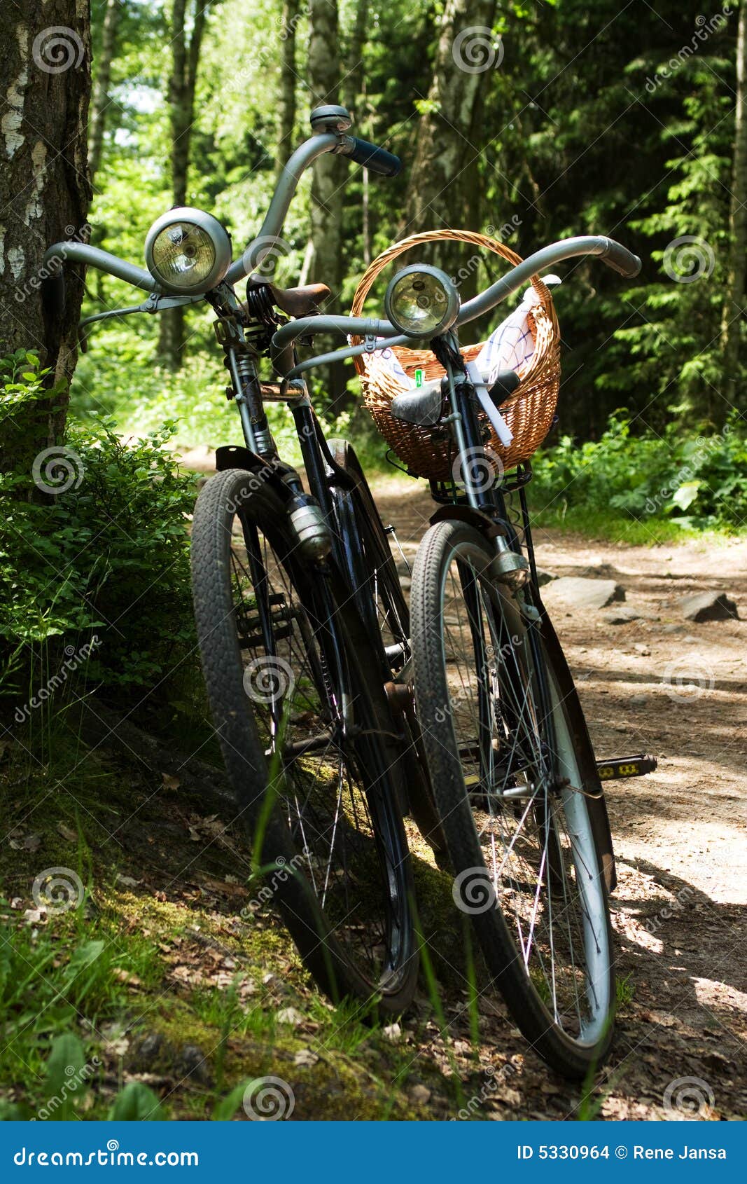 Two bikes in forest stock photo. Image of path, vehicles - 5330964