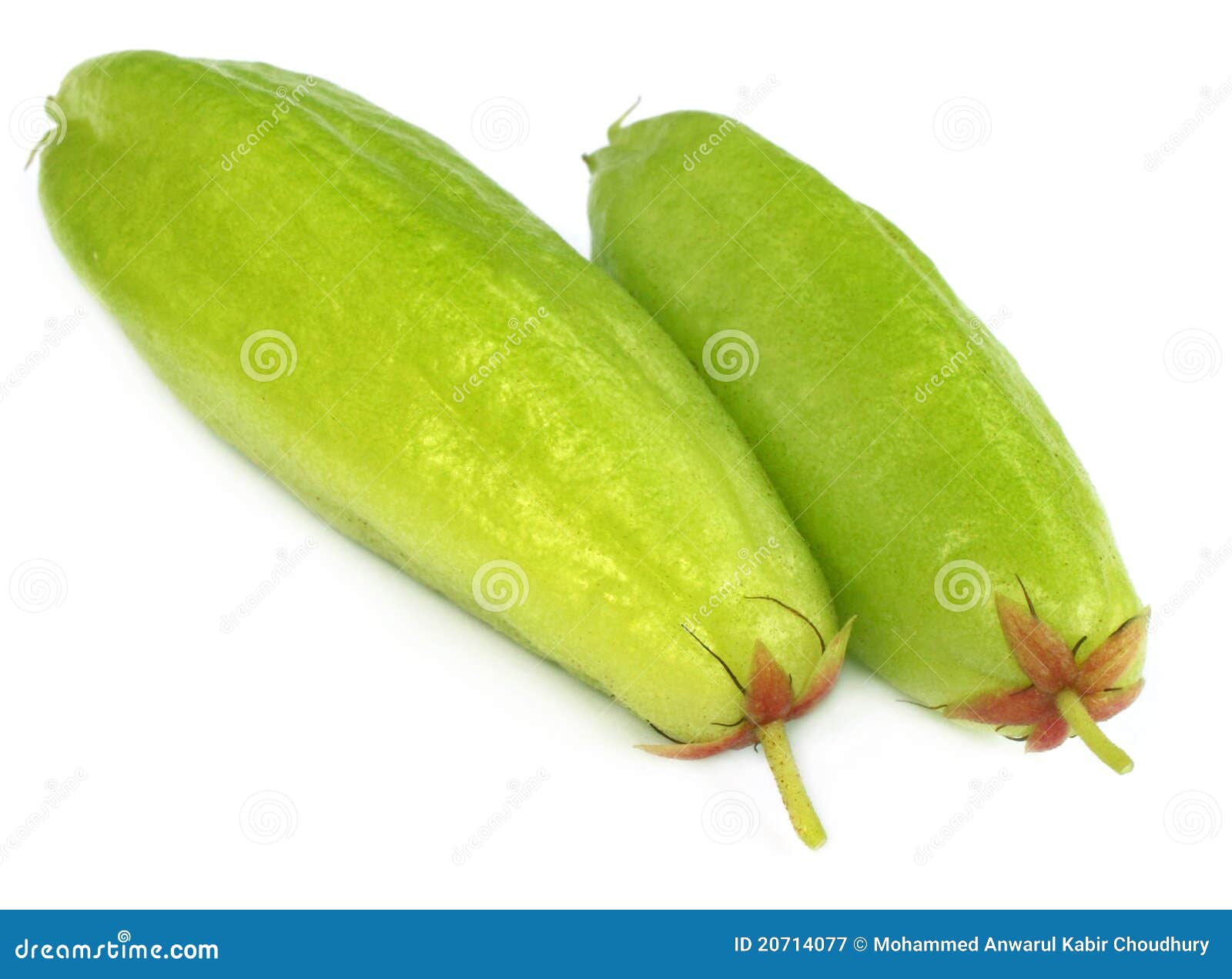 Two Bilimbi fruits stock image. Image of philippines - 20714077
