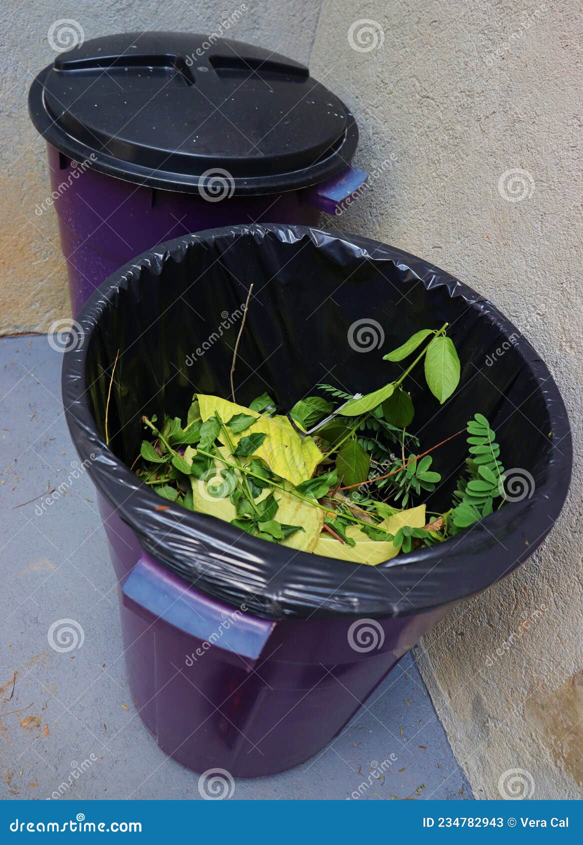 Two bins with plant waste. stock image. Image of garbage - 234782943