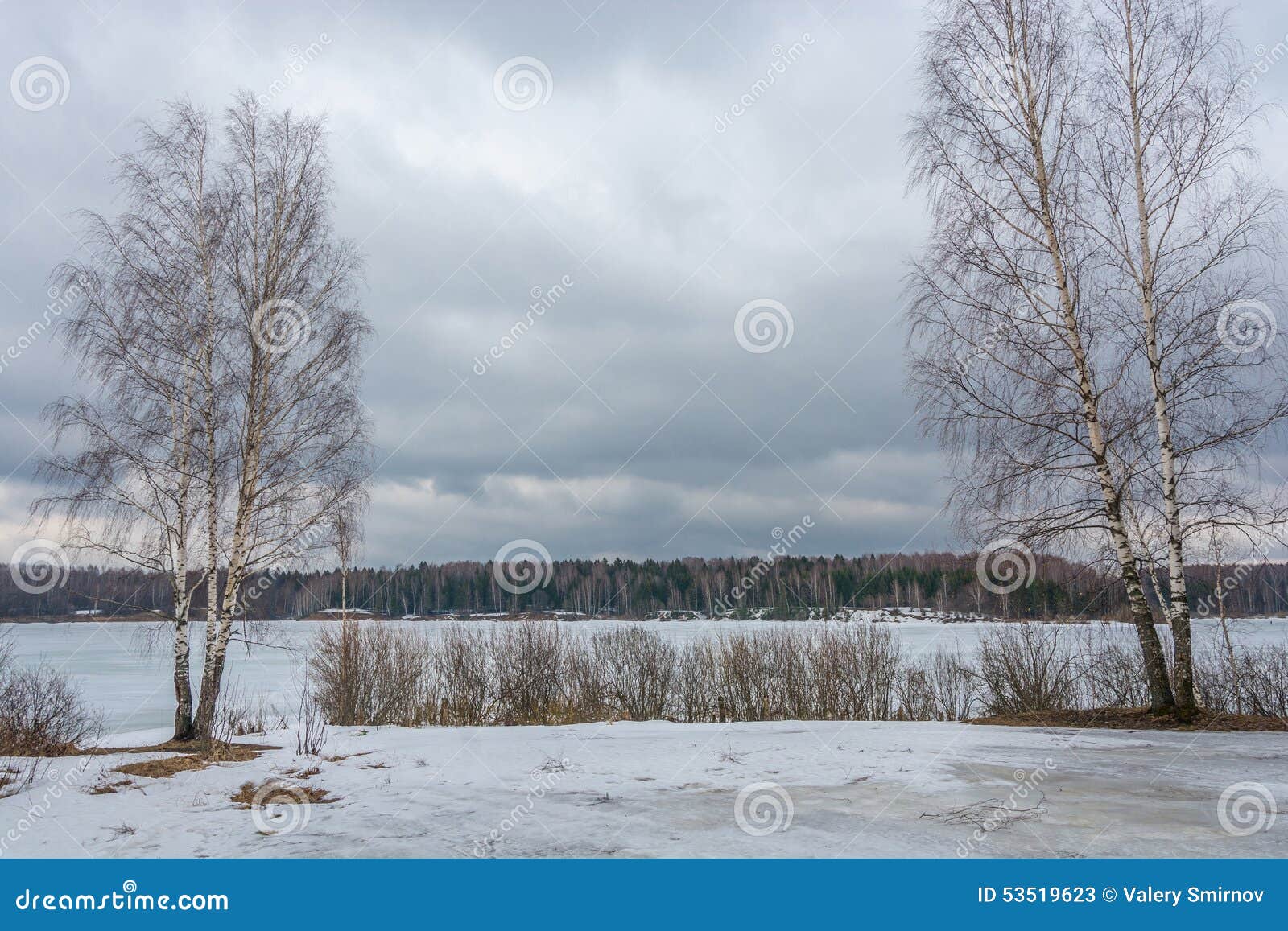 Two Birch Trees and a River. Stock Image - Image of clouds, russia ...