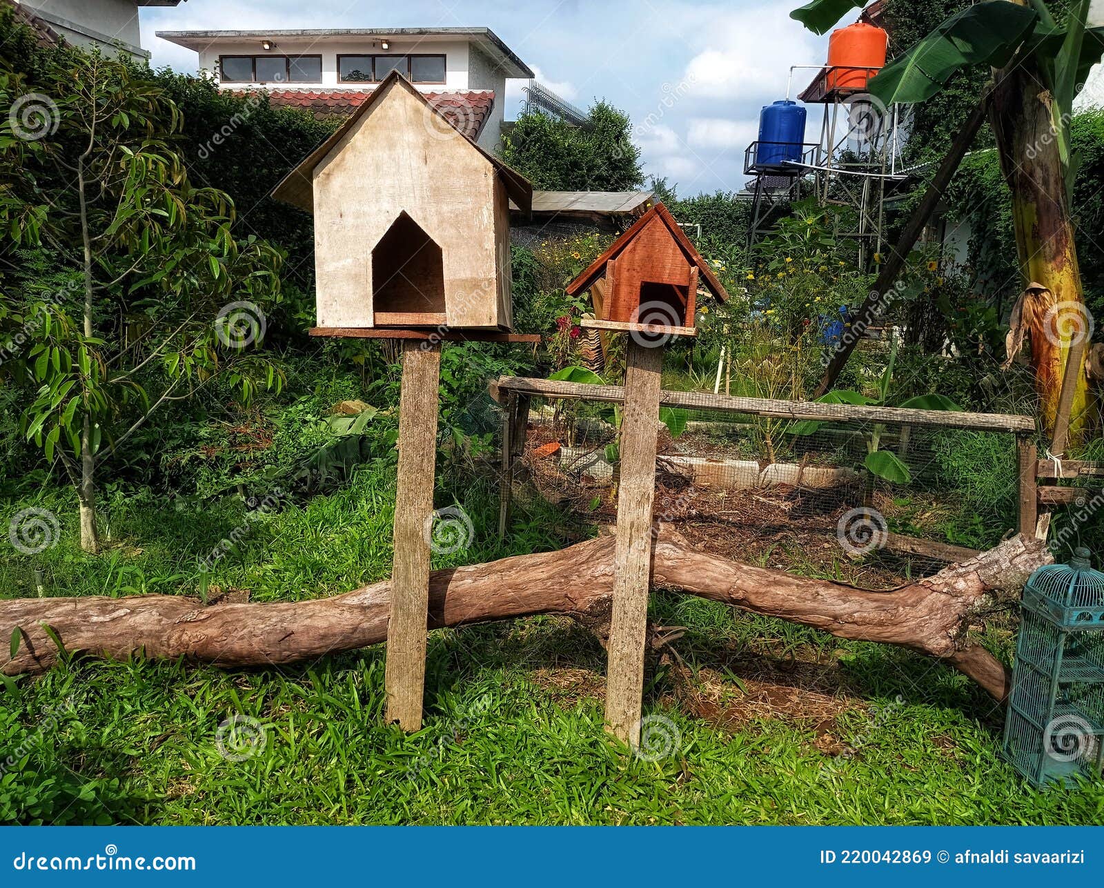 Two Bird Cages Side by Side in the Open Stock Image - Image of plant ...