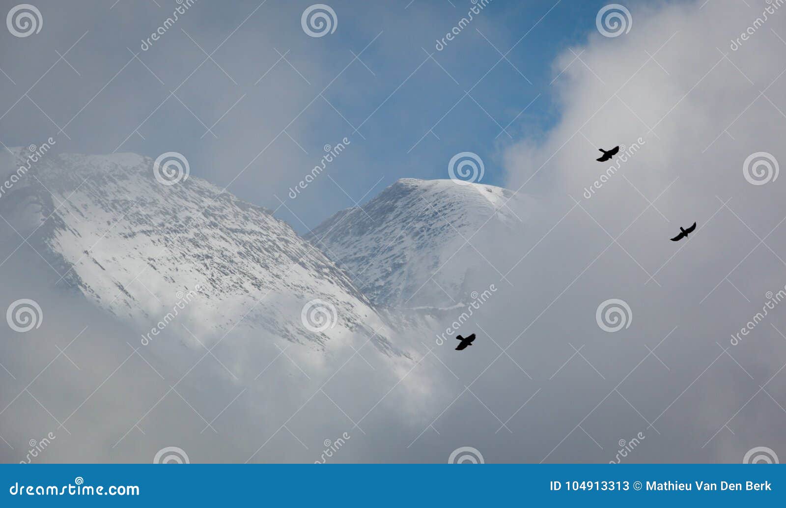Two Birds Flying in Front of a Cloud in the Mountains Stock Image ...