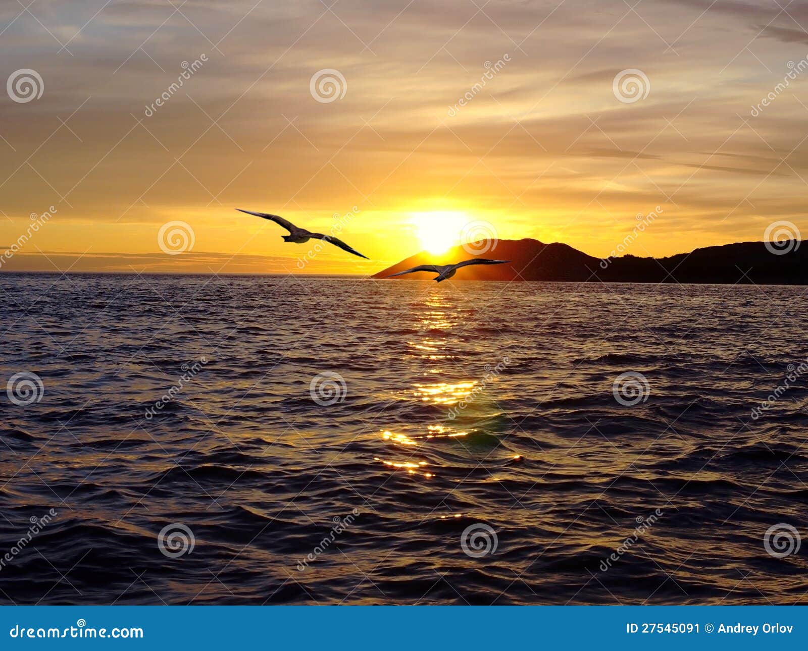 Two Birds in Flying Over the Sea at Sunset Stock Image - Image of ...