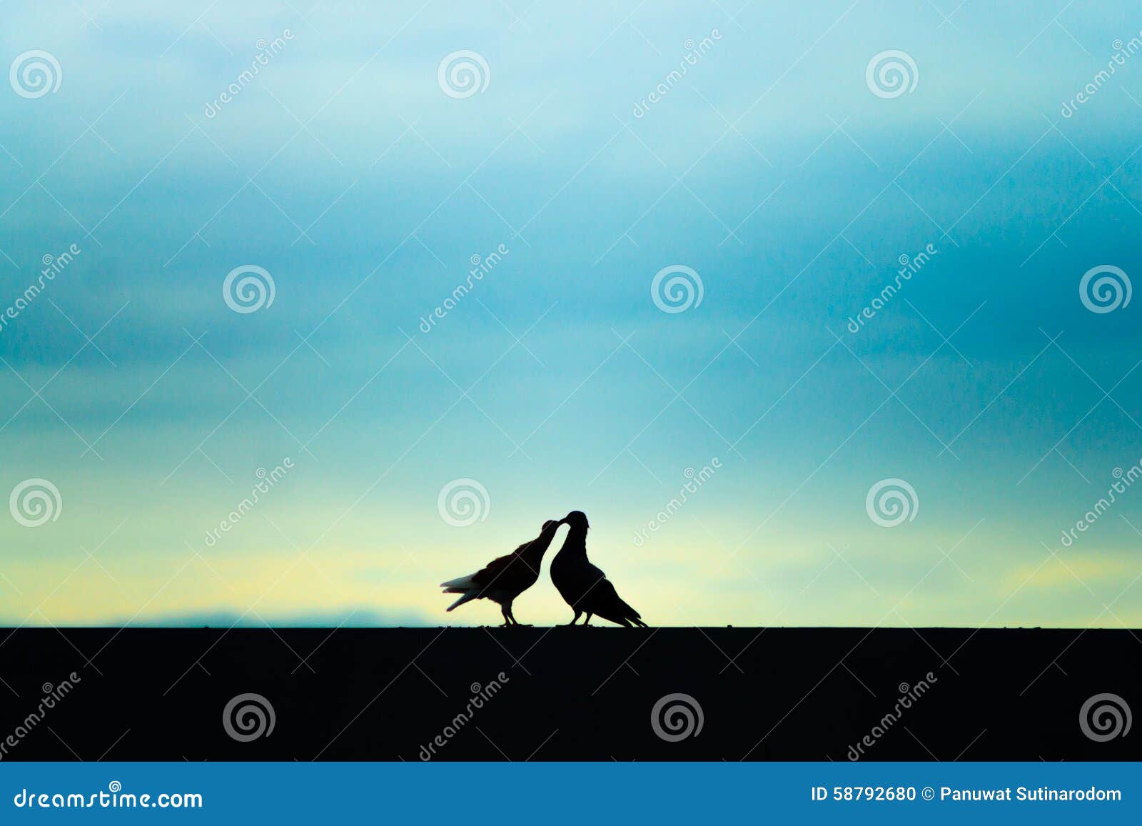 Two Birds together stock photo. Image of landscape, birds - 58792680