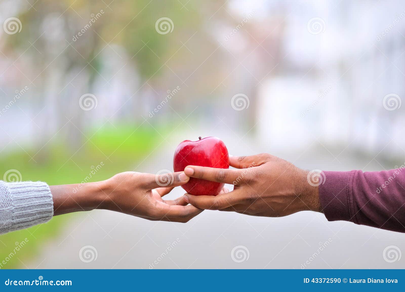 Two Hands Touching A Apple