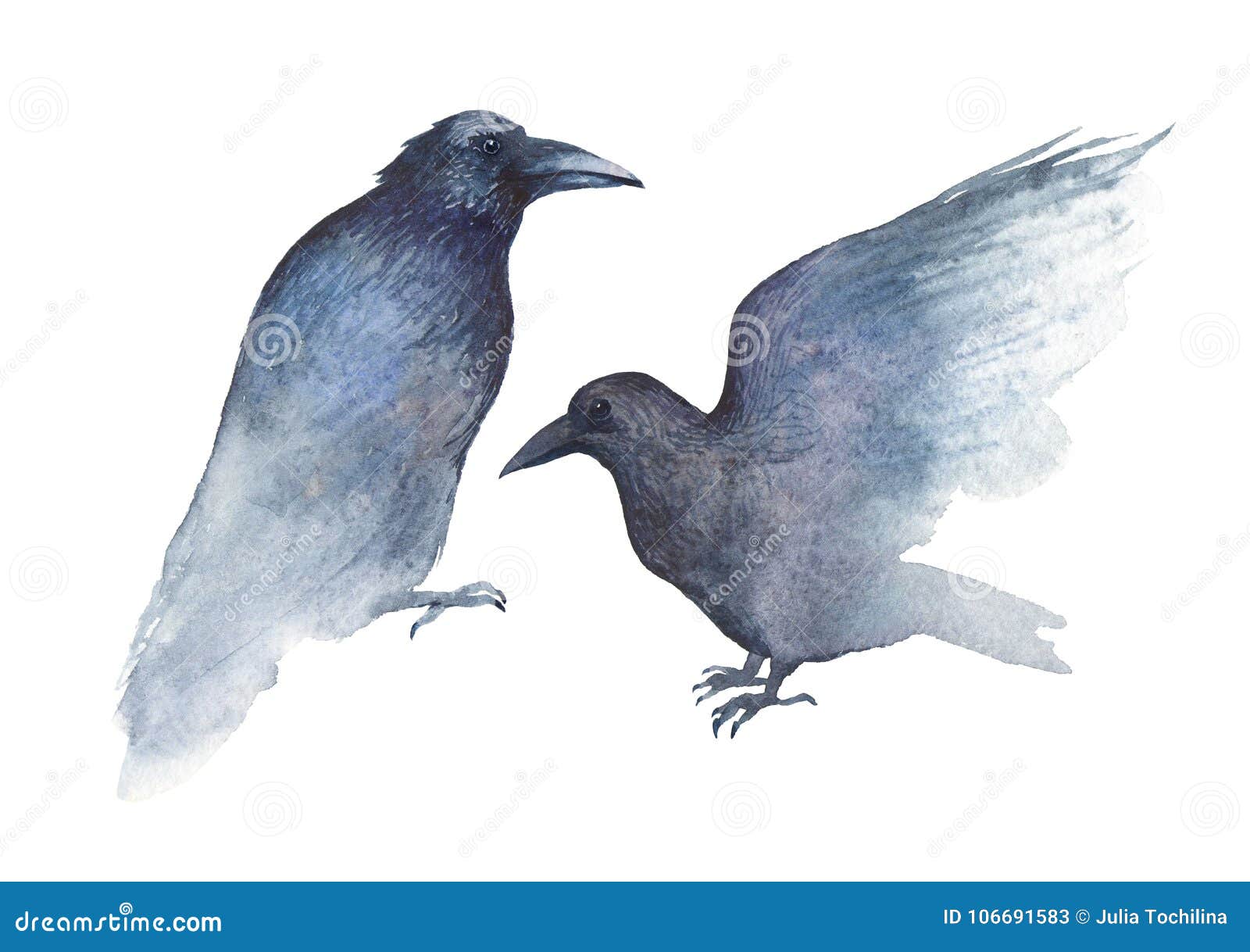 Two Watercolor Ravens on White Stock Illustration - Illustration of ...