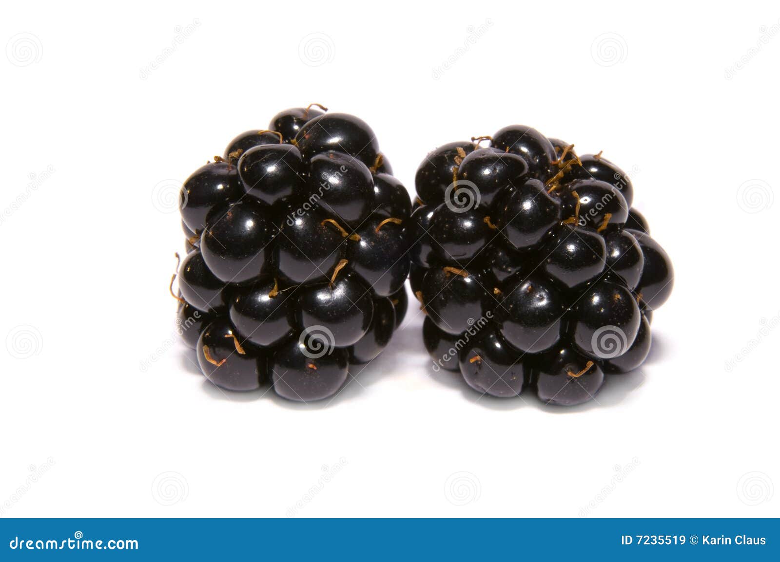 Two blackberries stock image. Image of dessert, dewberry - 7235519