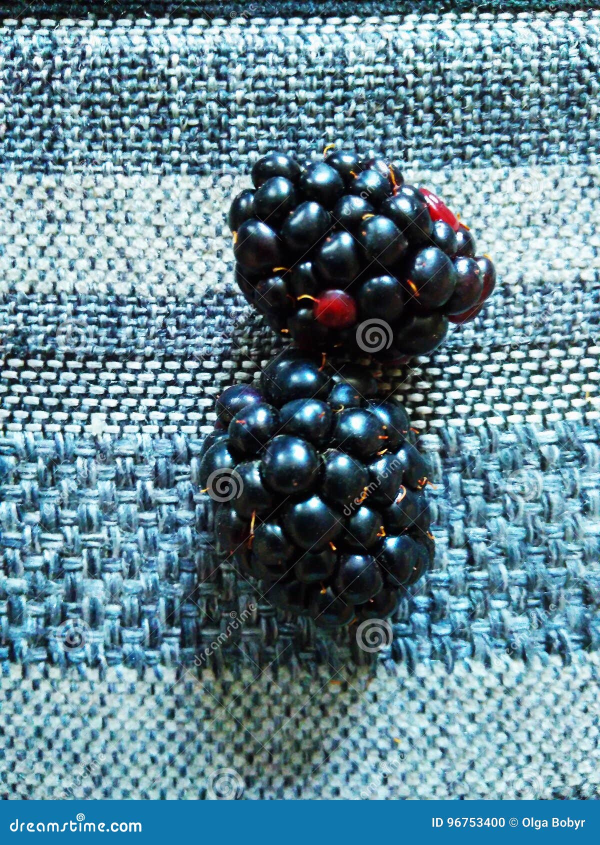Two blackberries stock photo. Image of textile, bramble - 96753400