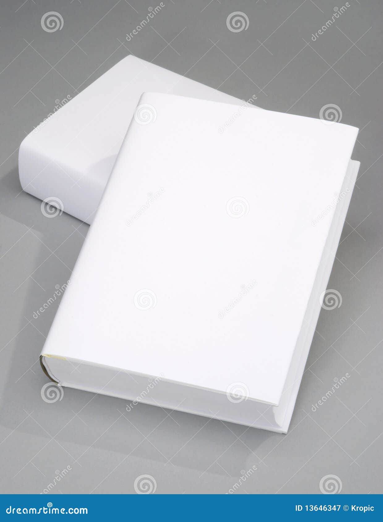 Two Blank book cover stock image. Image of single, media - 13646347
