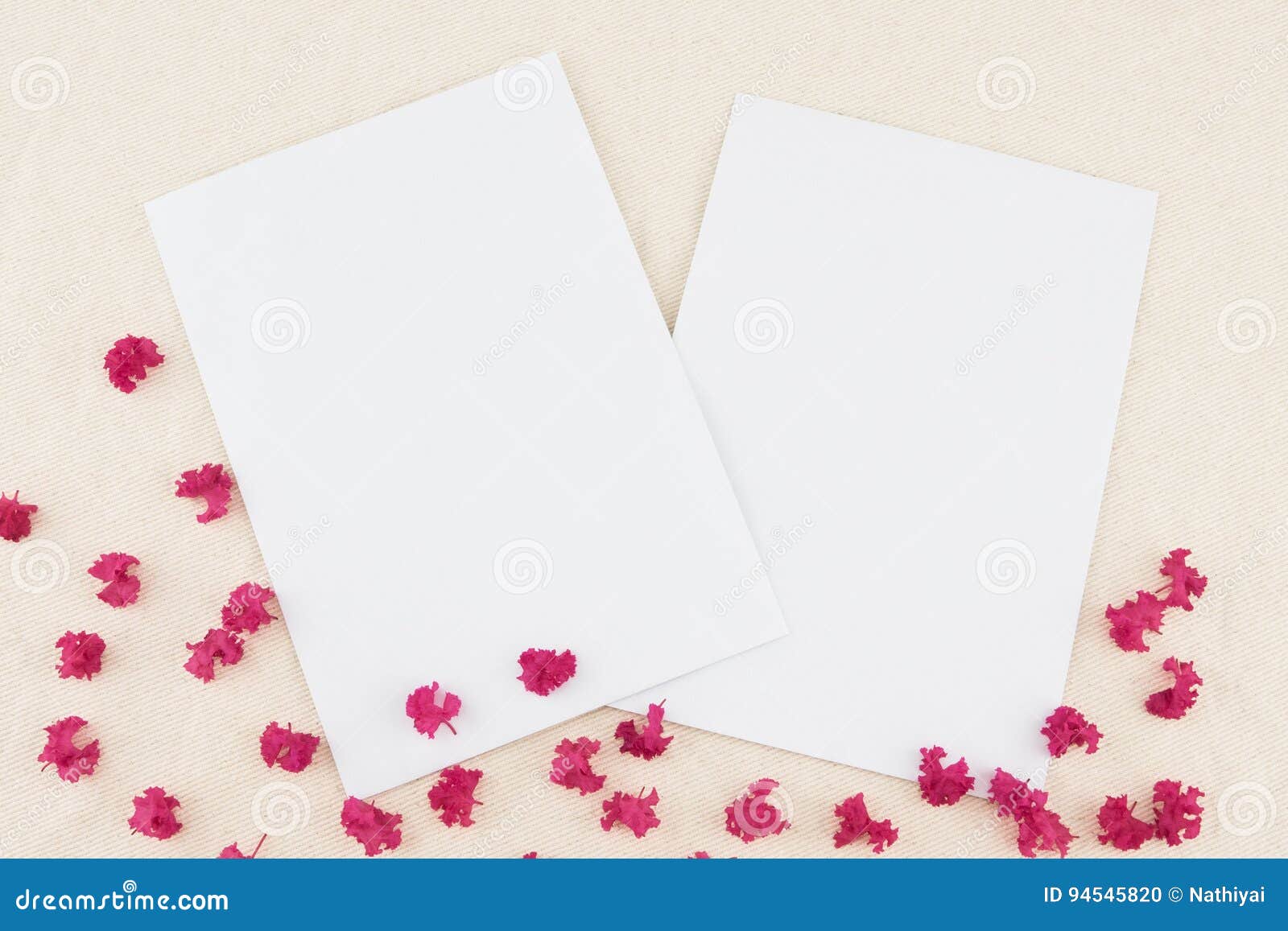 Two blank white cards stock photo. Image of business - 94545820
