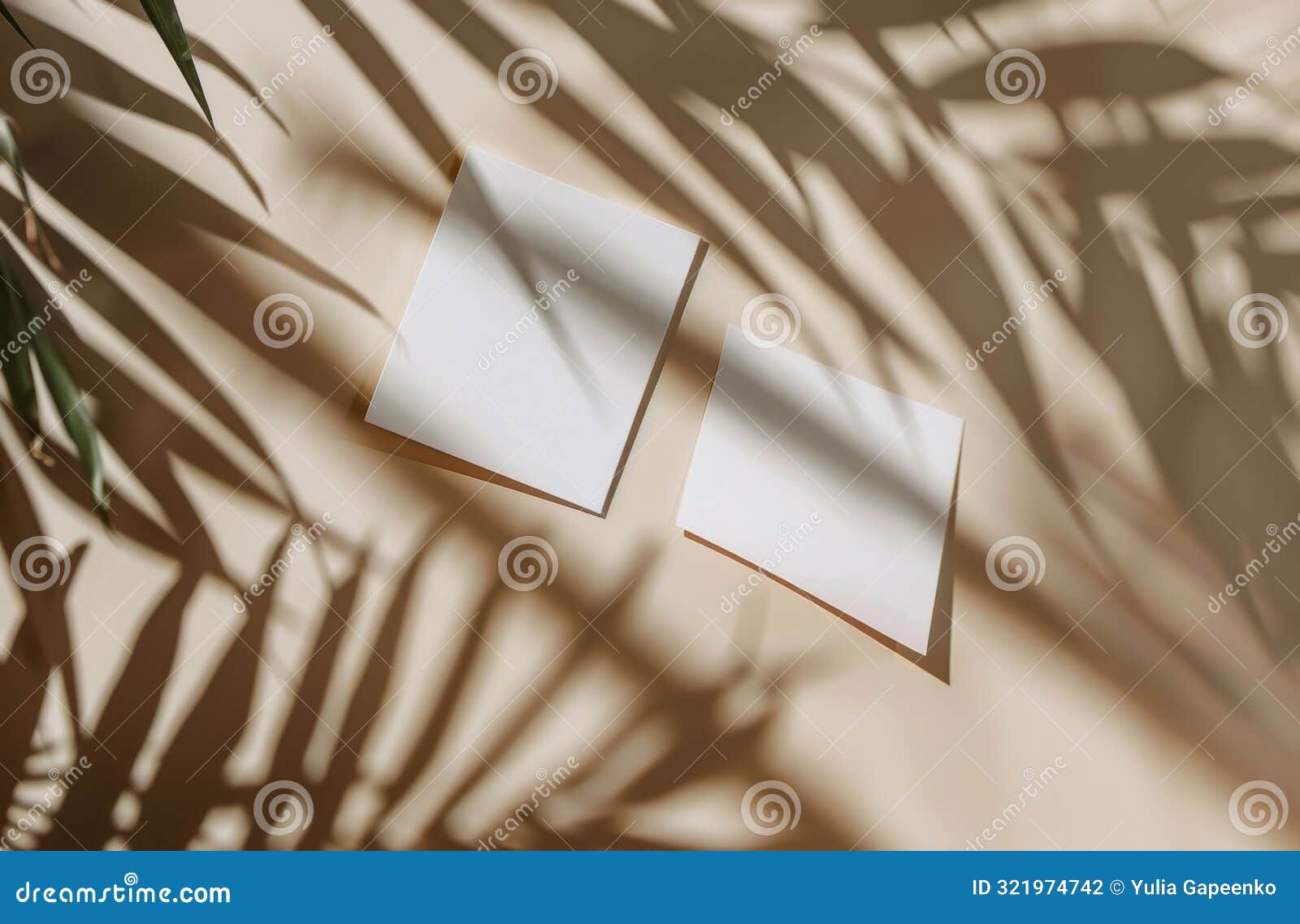 Two Blank White Cards Floating Above a White Surface with Palm Leaf ...