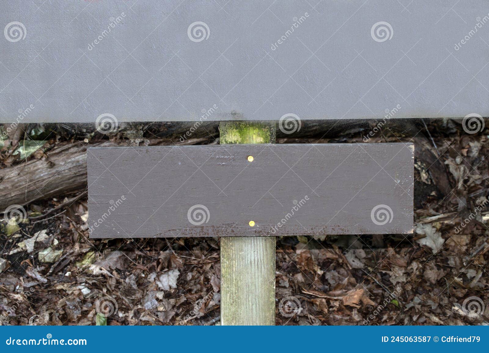 Two blank wooden signs stock image. Image of outdoor - 245063587