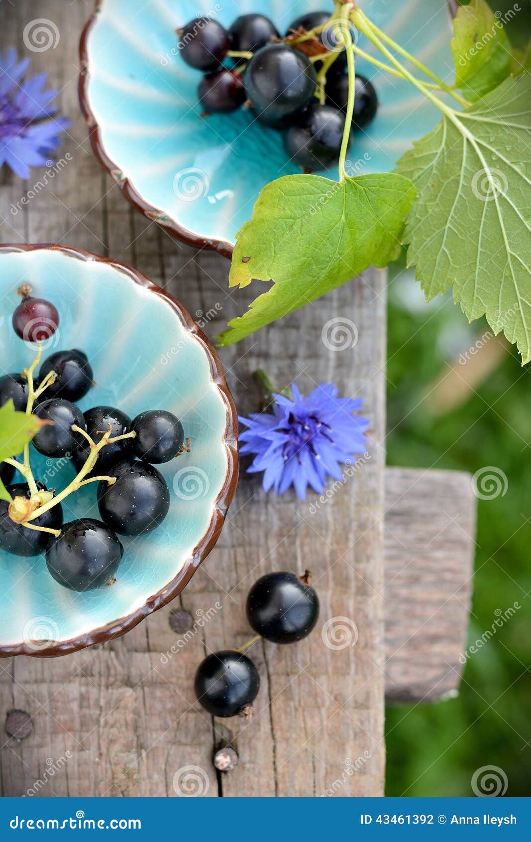 Two Blue Cups with Black Currants on the Bench Stock Photo - Image of ...