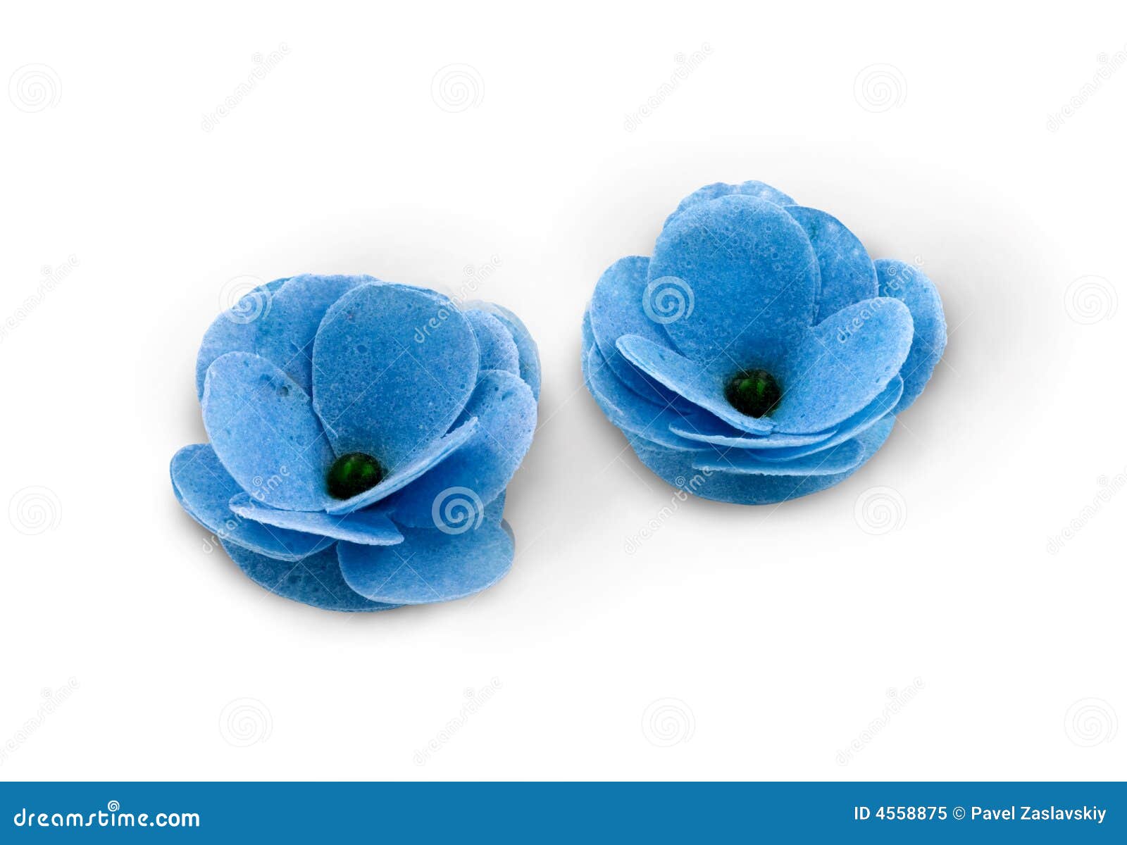 Two Blue Flowers Intended for SPA Stock Image - Image of blue, flavored ...