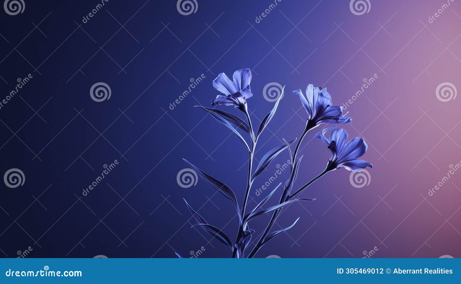 Two Blue Flowers on a Purple Background Stock Illustration ...