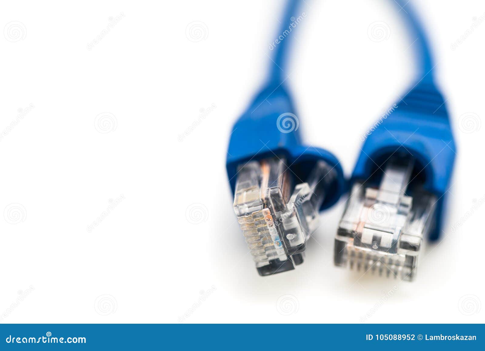 Blue Network Utp Cable, Studio Shot on White Background Stock Photo ...