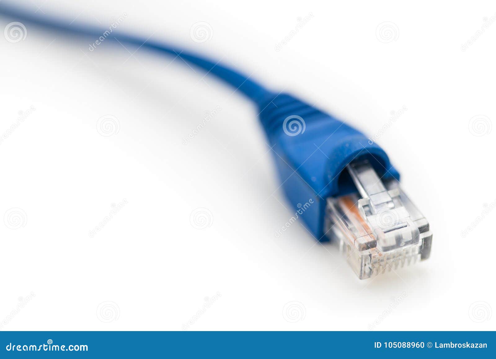 Blue Network Utp Cable, Studio Shot on White Background Stock Photo ...