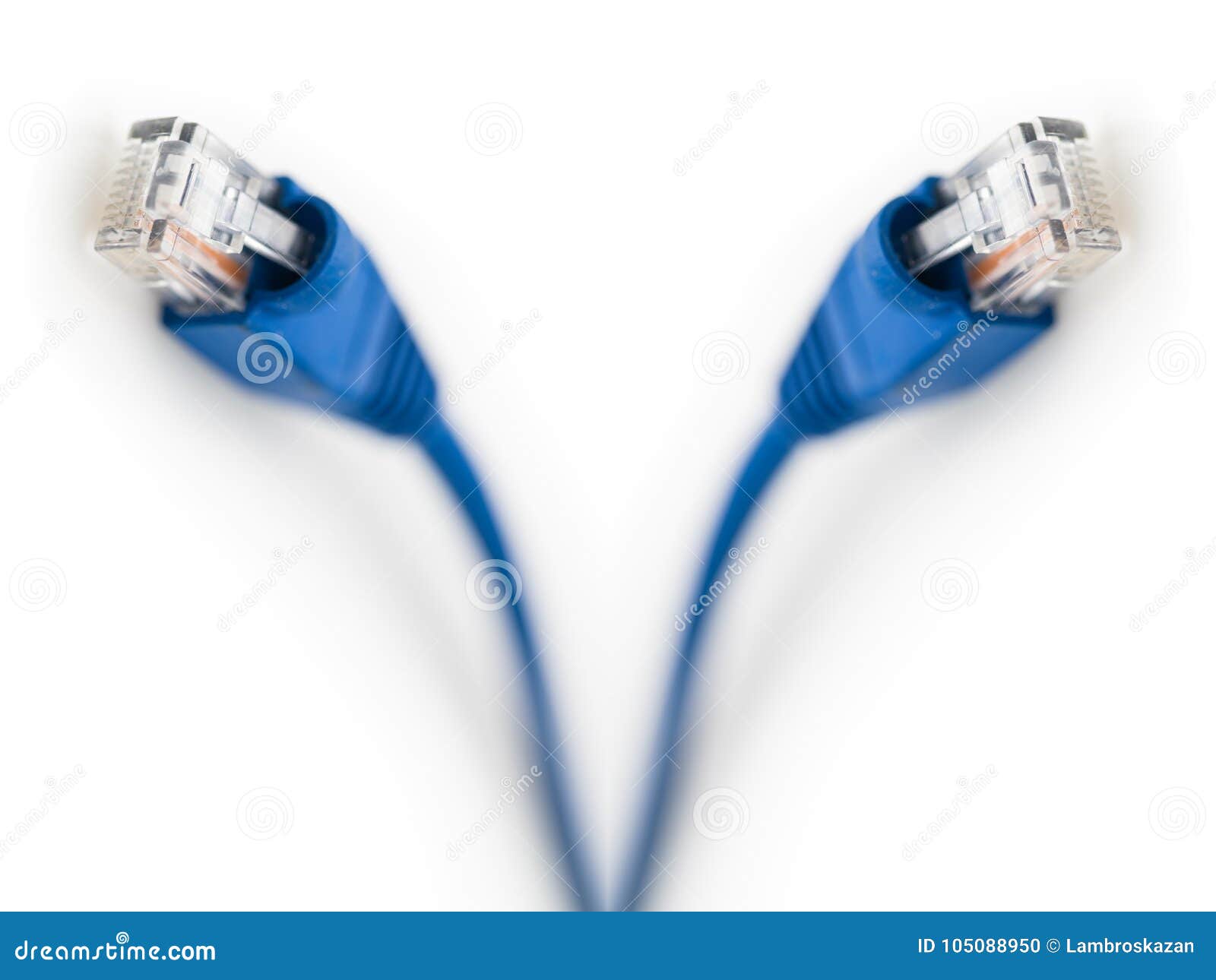 Two Blue Network Utp Cable, Studio Shot, on White Background Stock ...