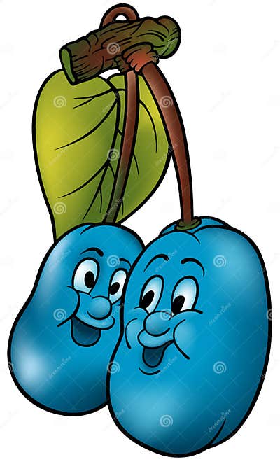 Two Blue Plums stock vector. Illustration of blue, agriculture - 3229929