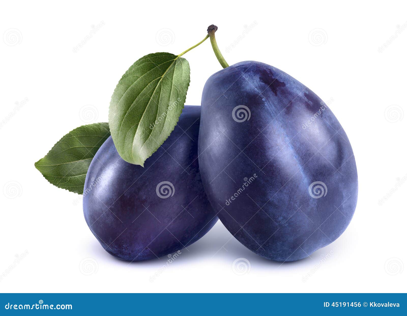 Two Blue Plums on White Background Stock Photo - Image of background ...