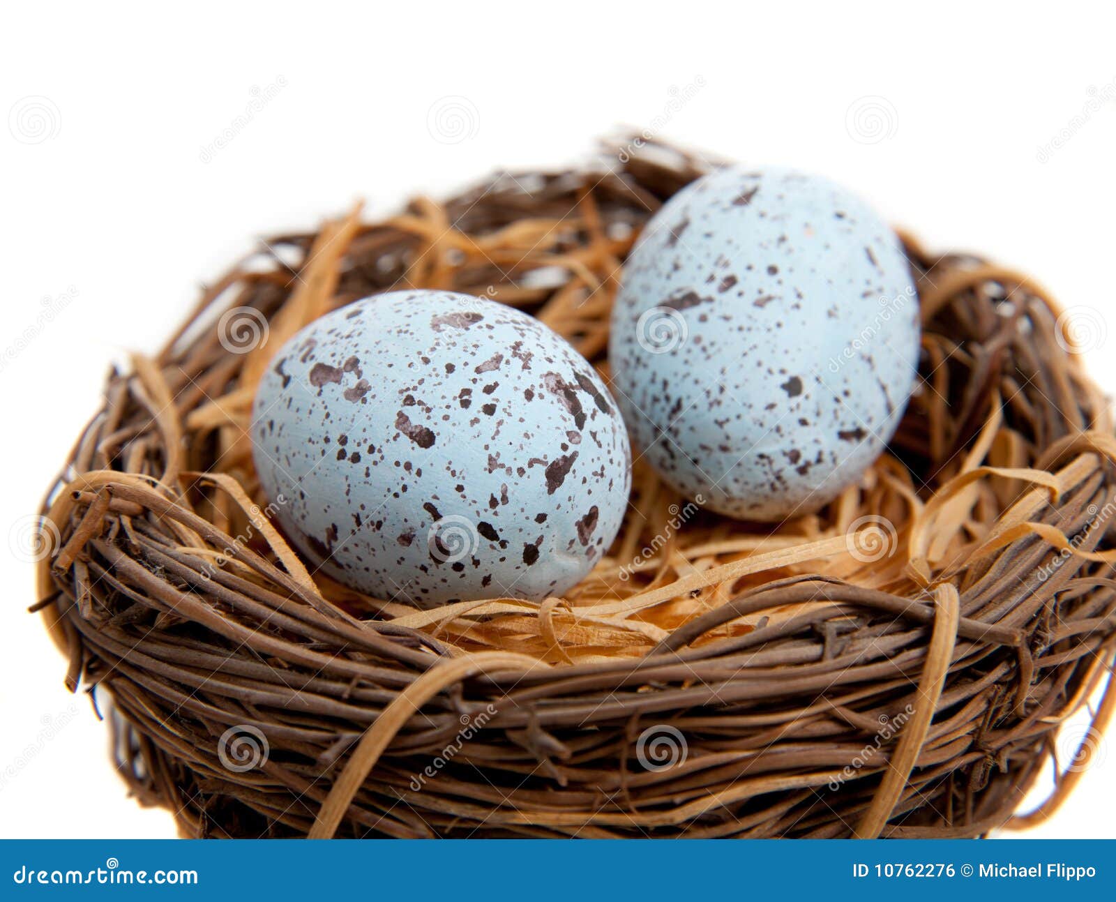 Two Blue Robins Eggs in Nest-Decoration Stock Photo - Image of ...