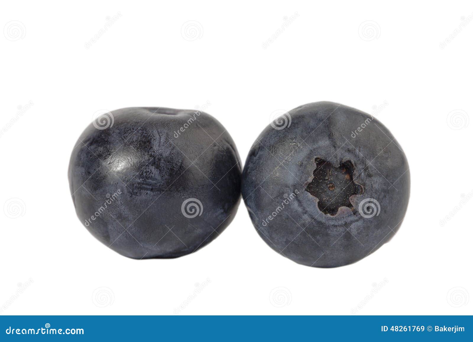 Two blueberries stock image. Image of health, layout - 48261769