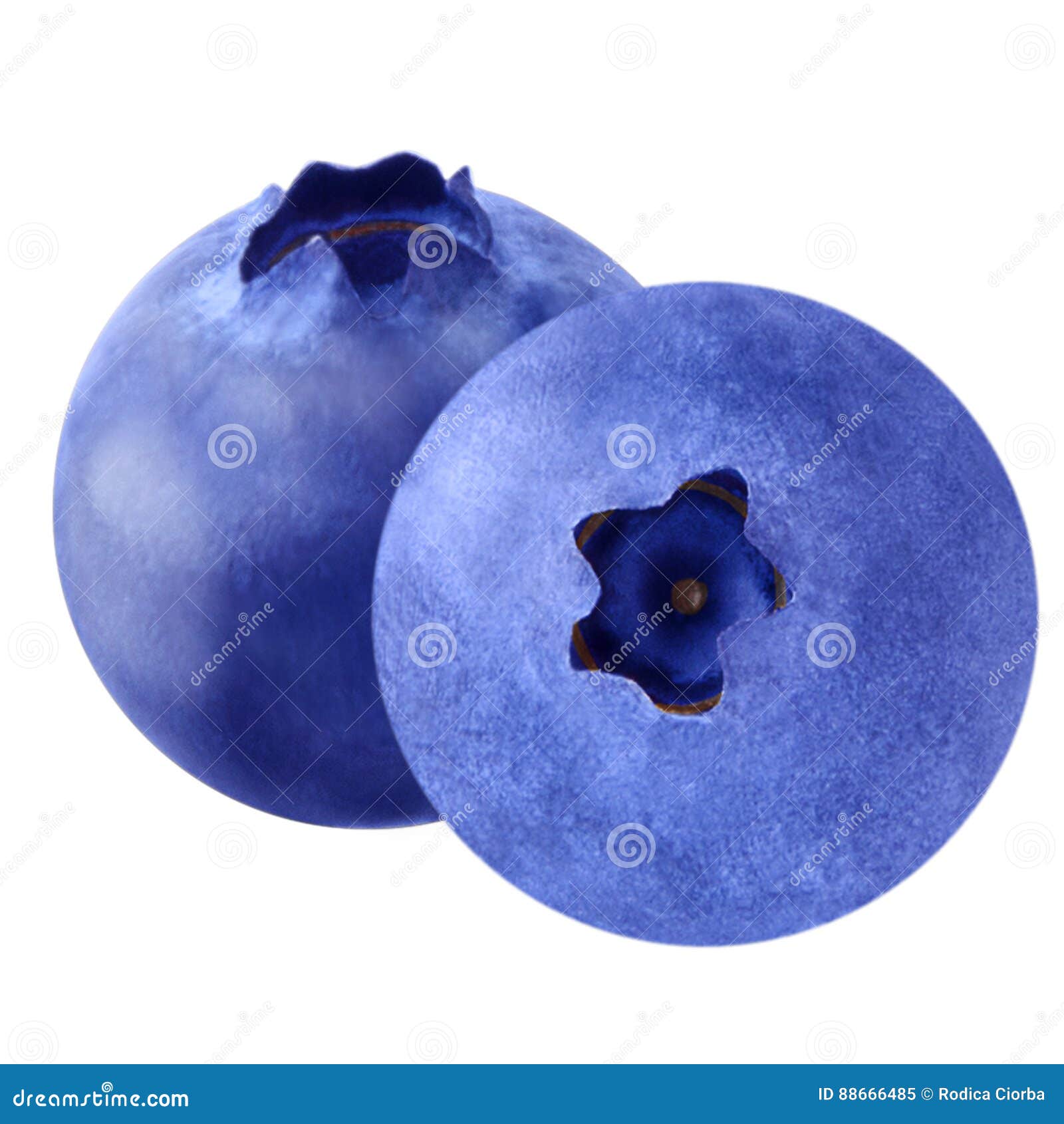 Two Blueberries Isolated on White Background with Clipping Path Stock ...