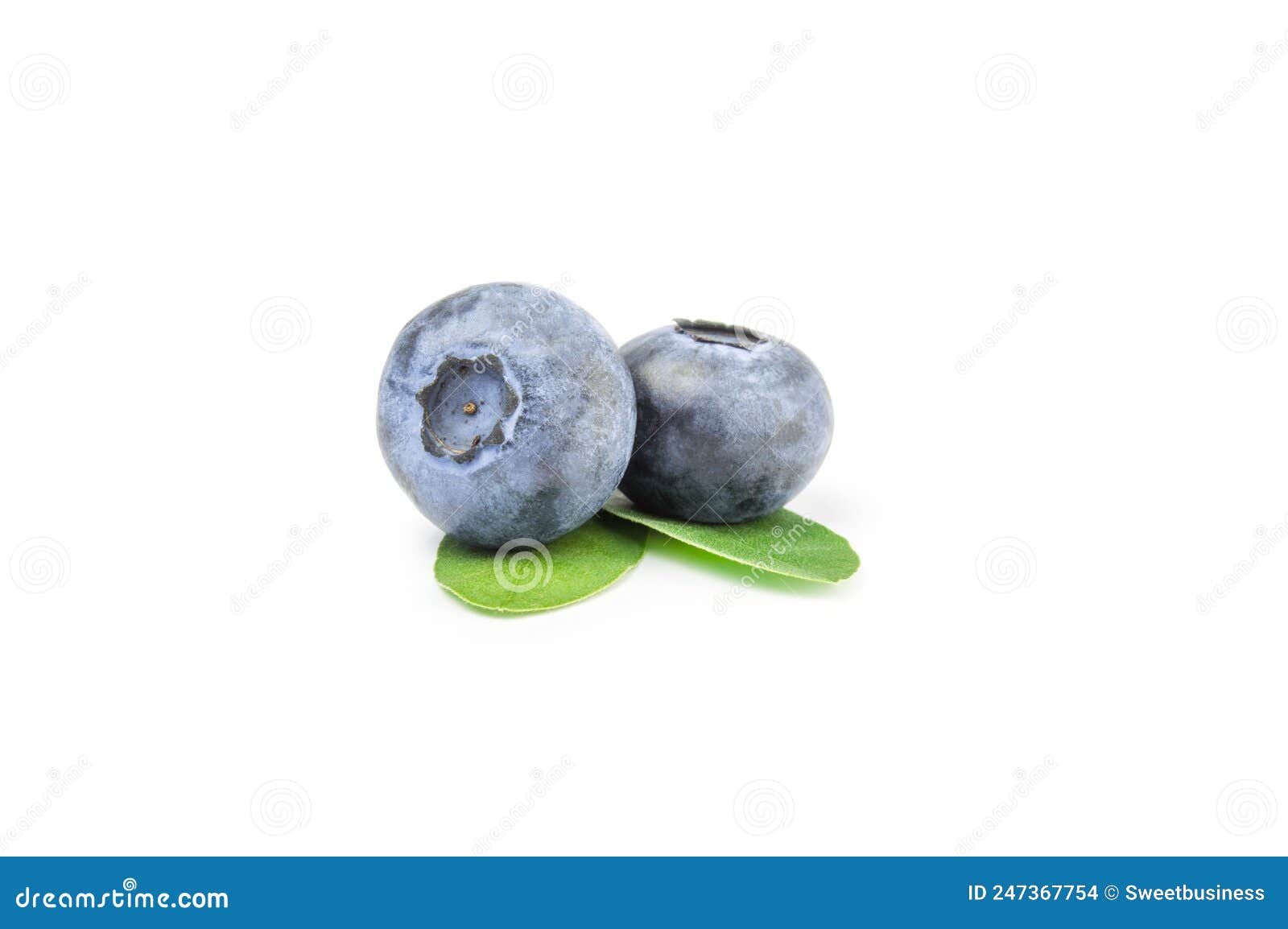 Two Blueberries Isolated on White Background Stock Photo - Image of ...