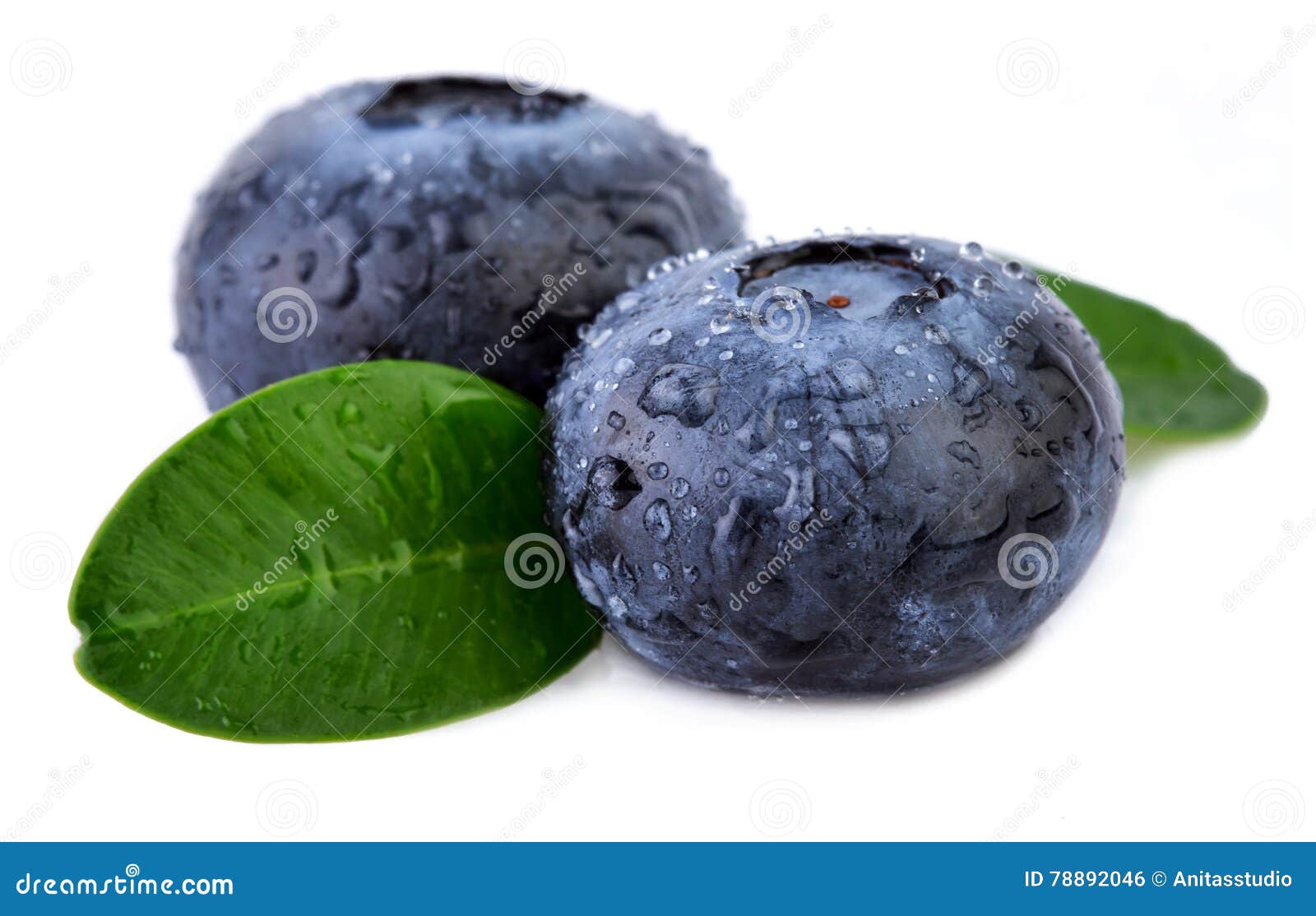 Two Blueberries with Leaf on White Closeup Stock Photo - Image of shiny ...