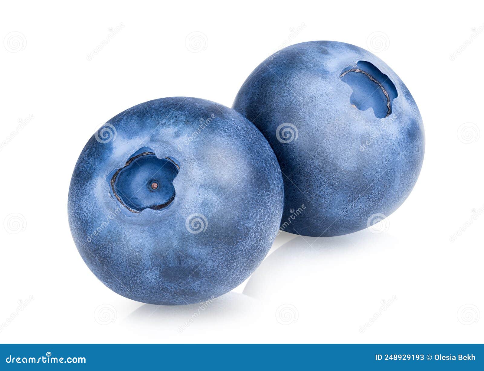 Two Blueberry Berries Isolated on White Background Stock Image - Image ...