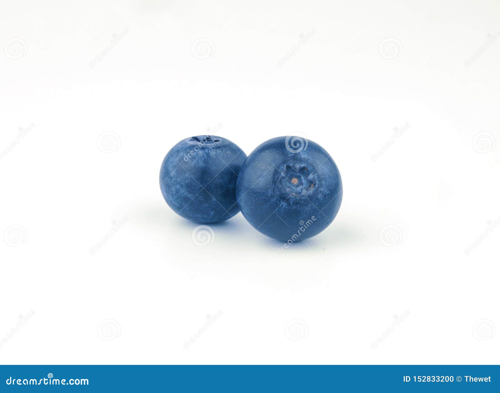 Two Blueberry Fruit on White Background Stock Photo - Image of health ...