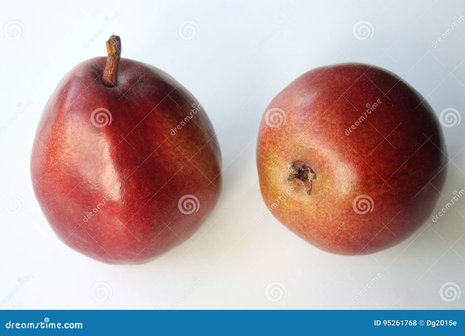 Two blush pears stock photo. Image of food, fruits, pair - 95261768