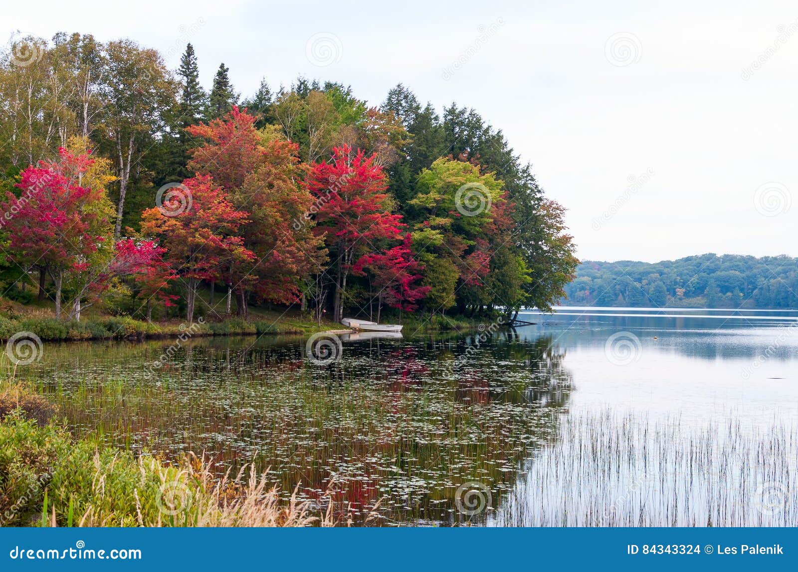Two Boats Under Red Maple Trees Stock Photo - Image of woods, pads ...